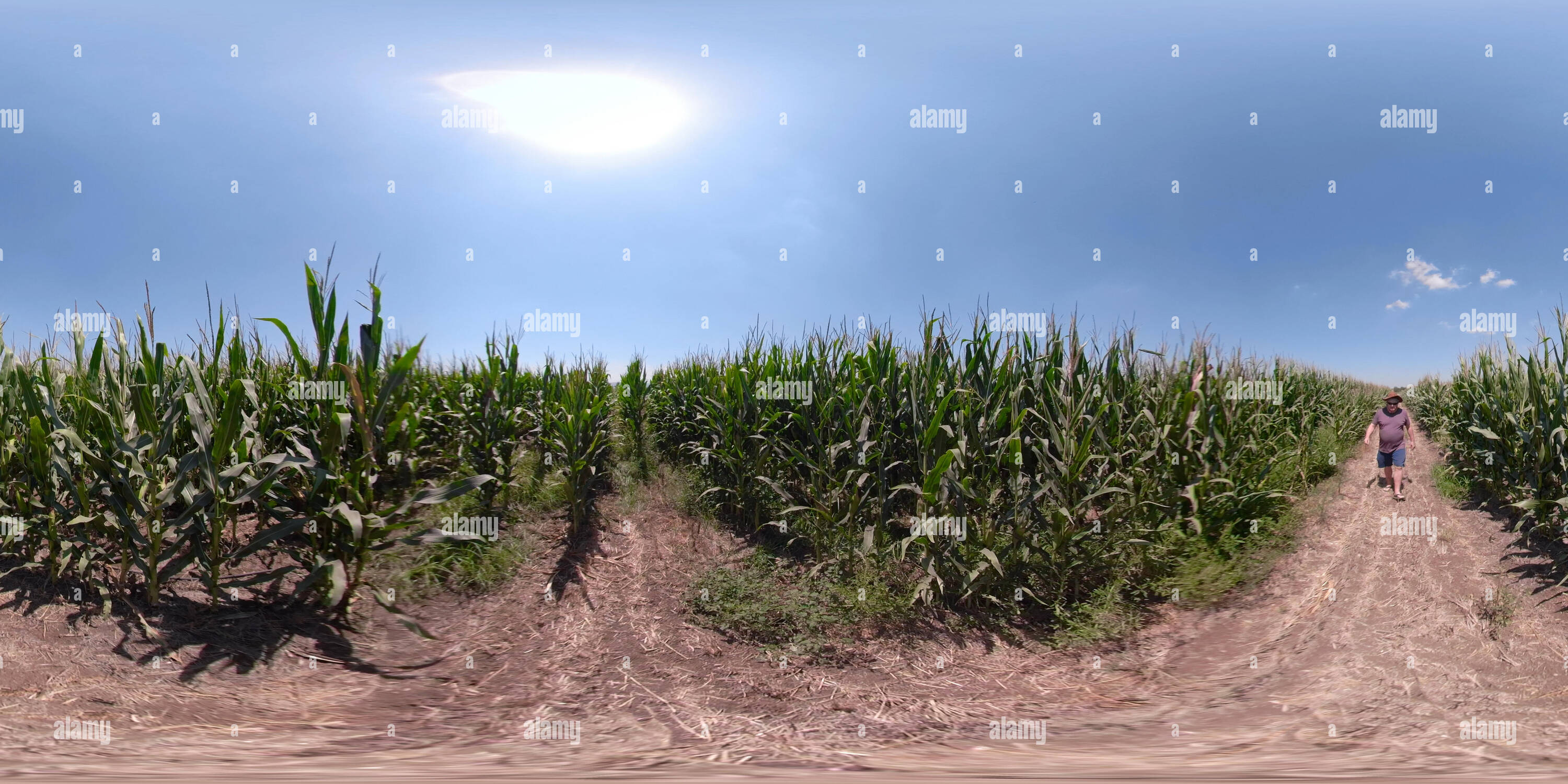 Panorama aspect ratio hi-res stock photography and images - Alamy