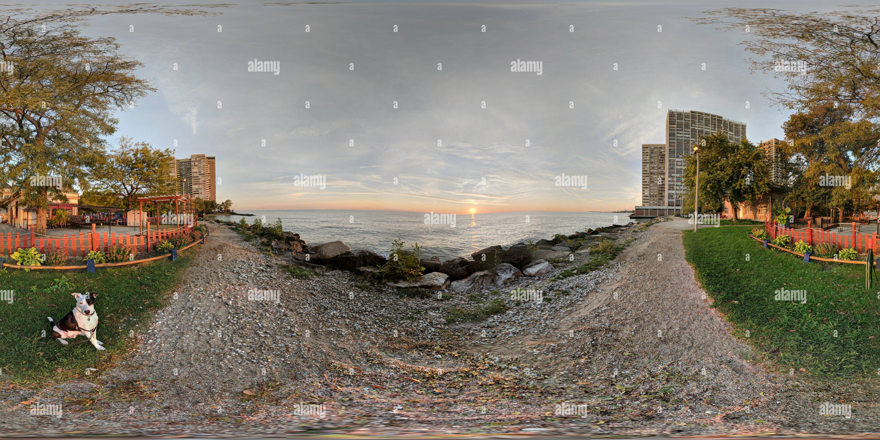 360° view of Chicago / Lake Michigan morning dog walk - Alamy