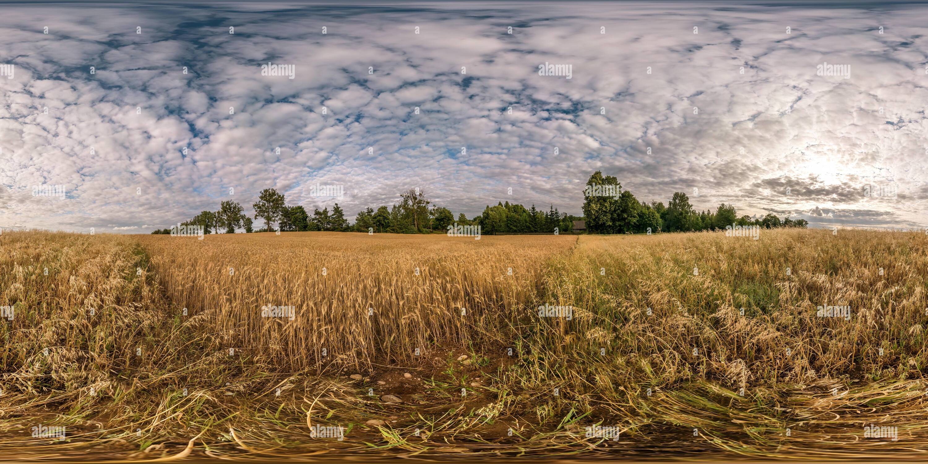 Map Of Rye High Resolution Stock Photography and Images - Alamy