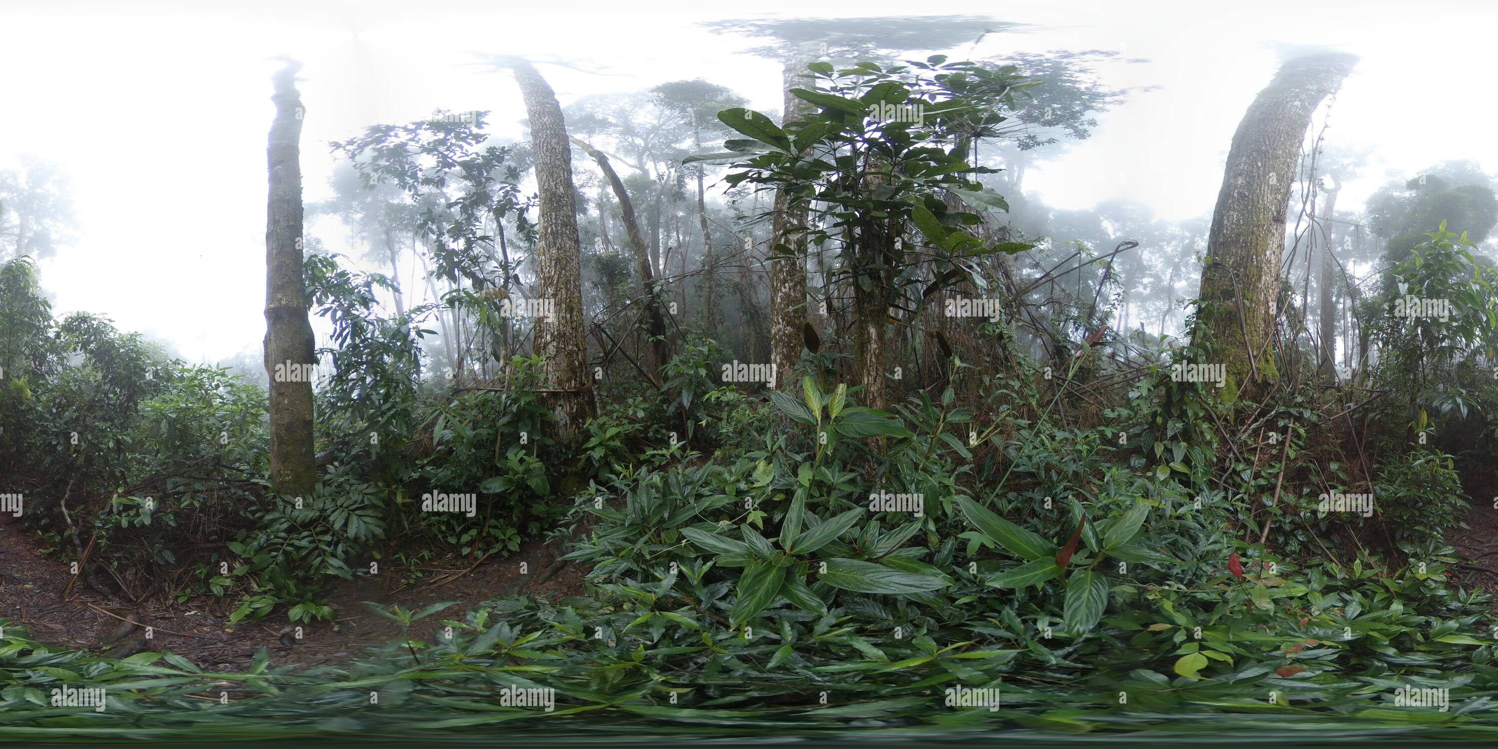 Brazil 360 hi-res stock photography and images - Alamy