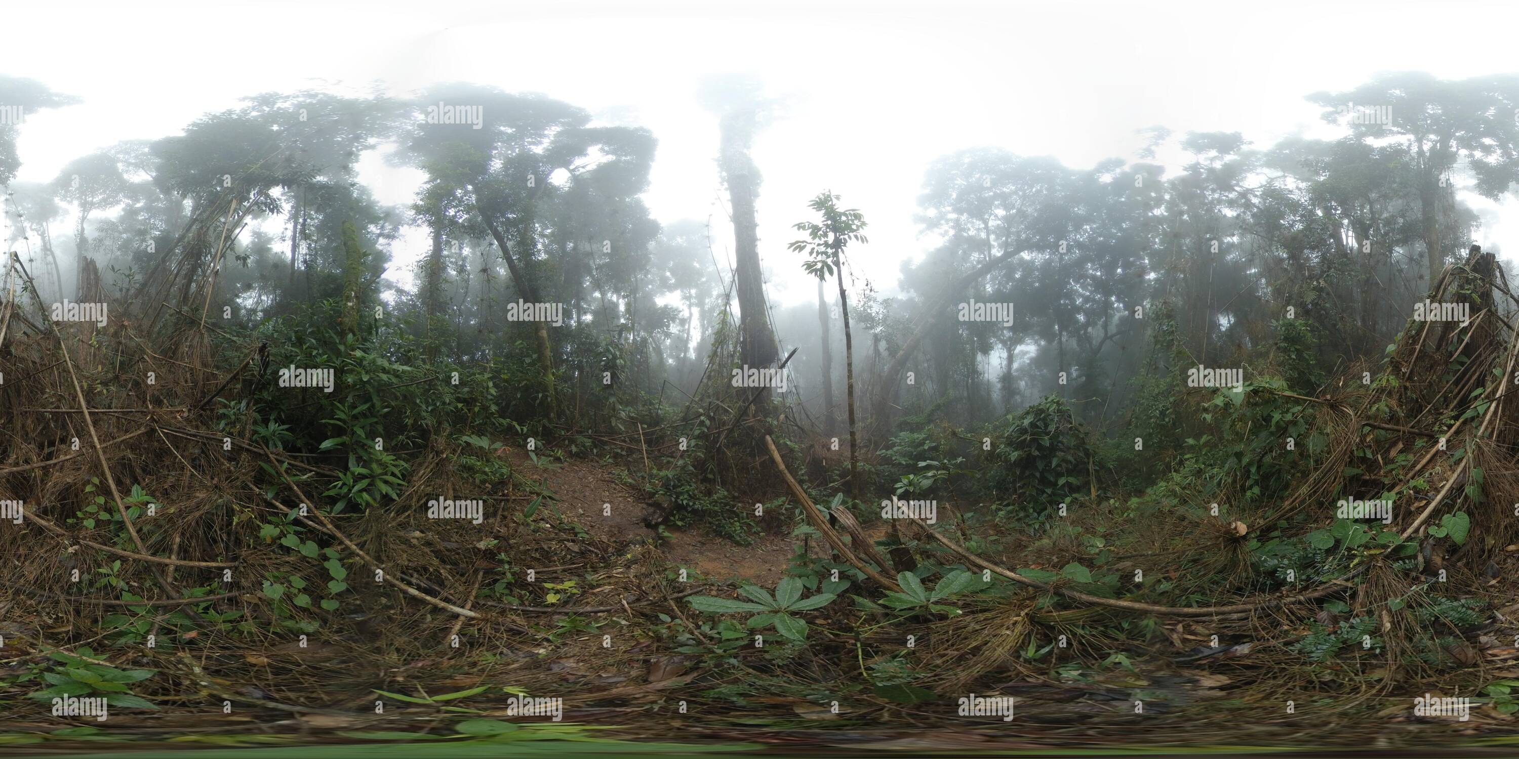 Brazil 360 hi-res stock photography and images - Alamy