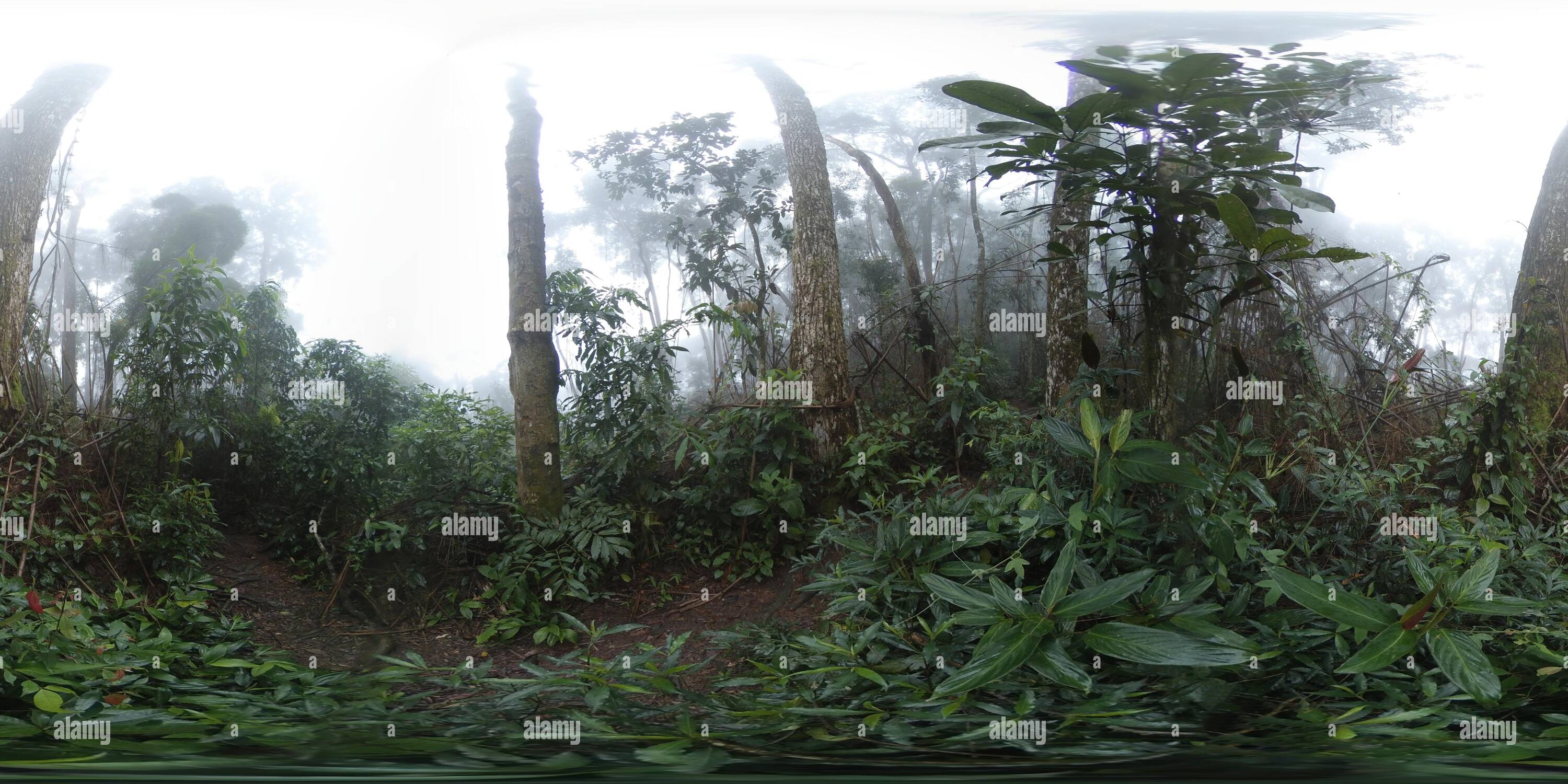 Brazil 360 hi-res stock photography and images - Alamy