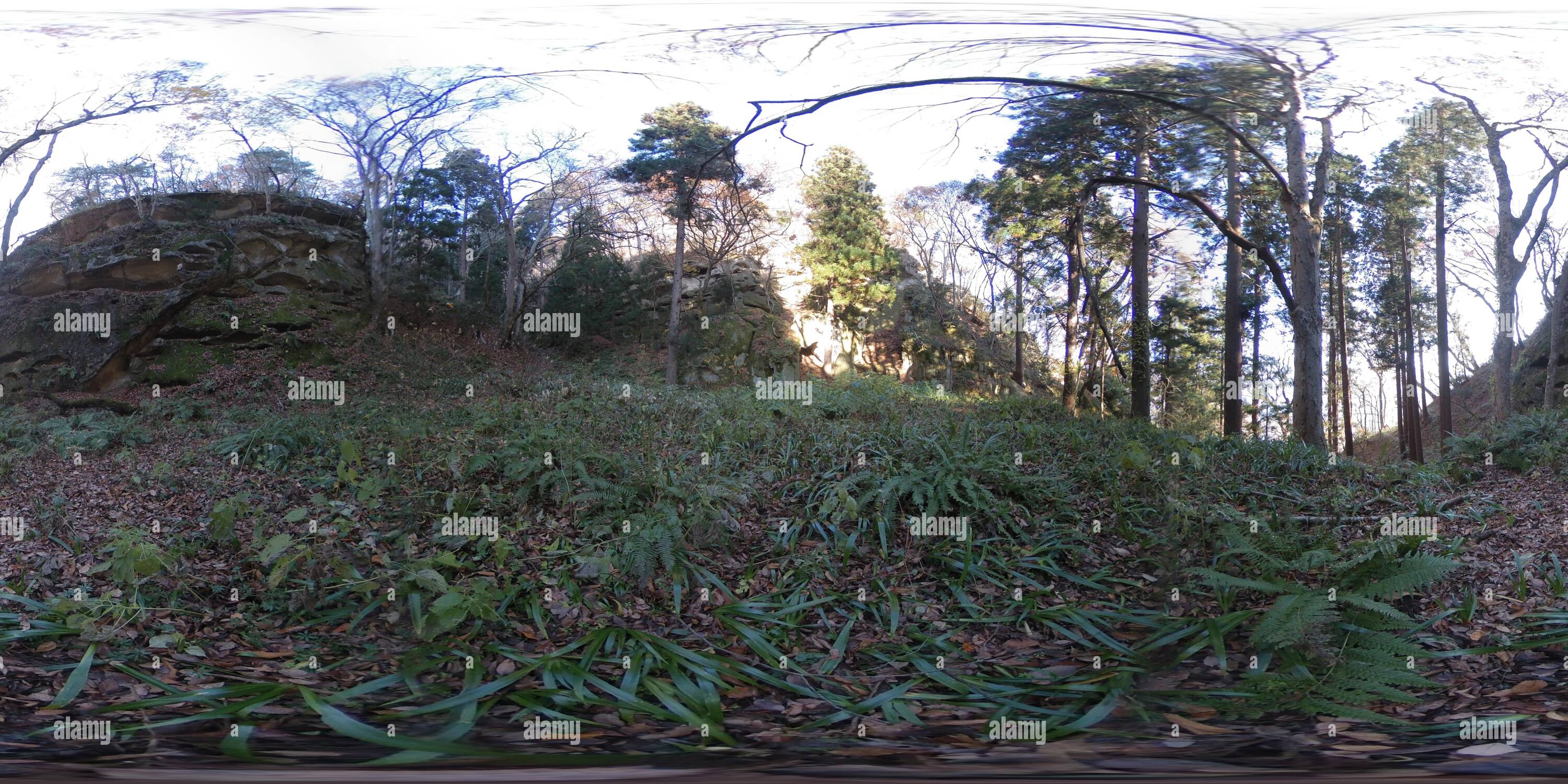 4k 360 hi-res stock photography and images - Alamy