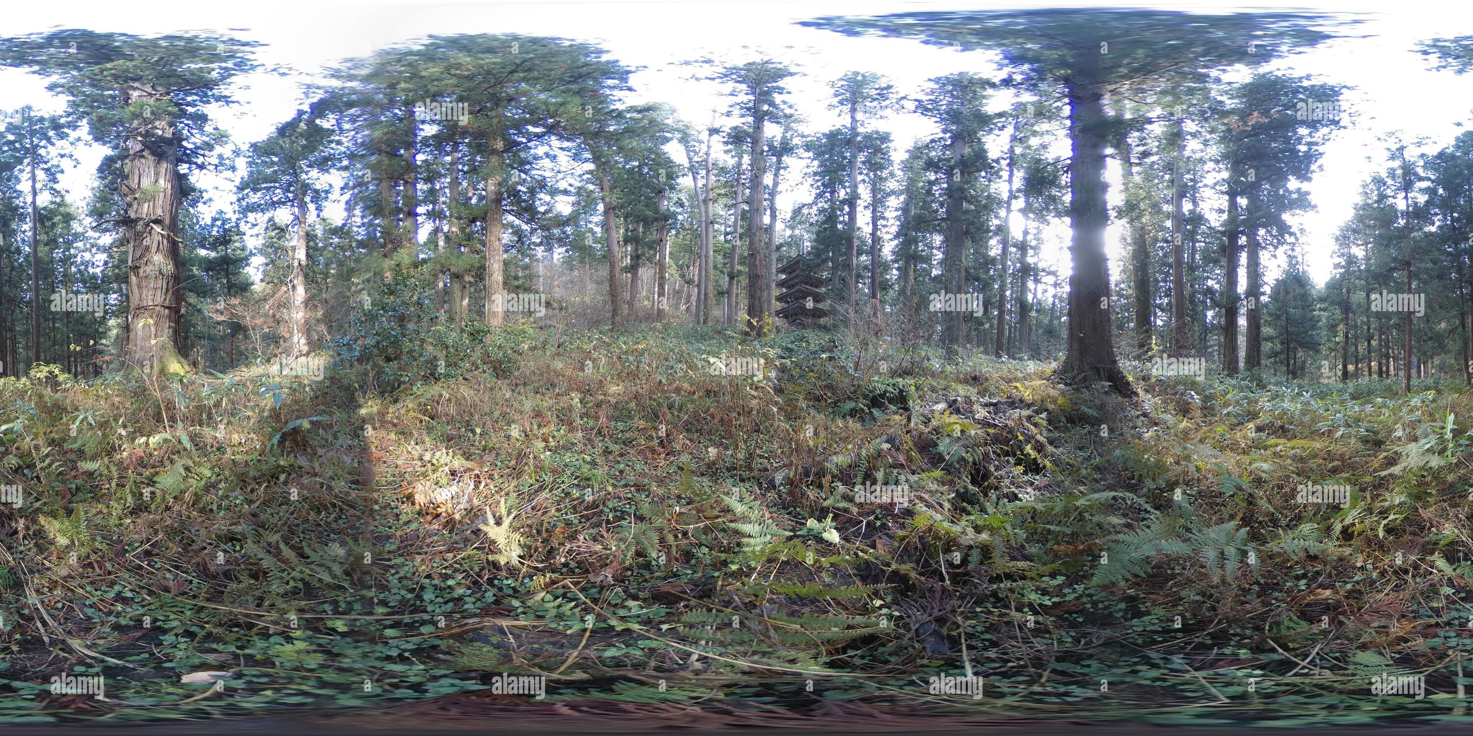 4k 360 hi-res stock photography and images - Alamy