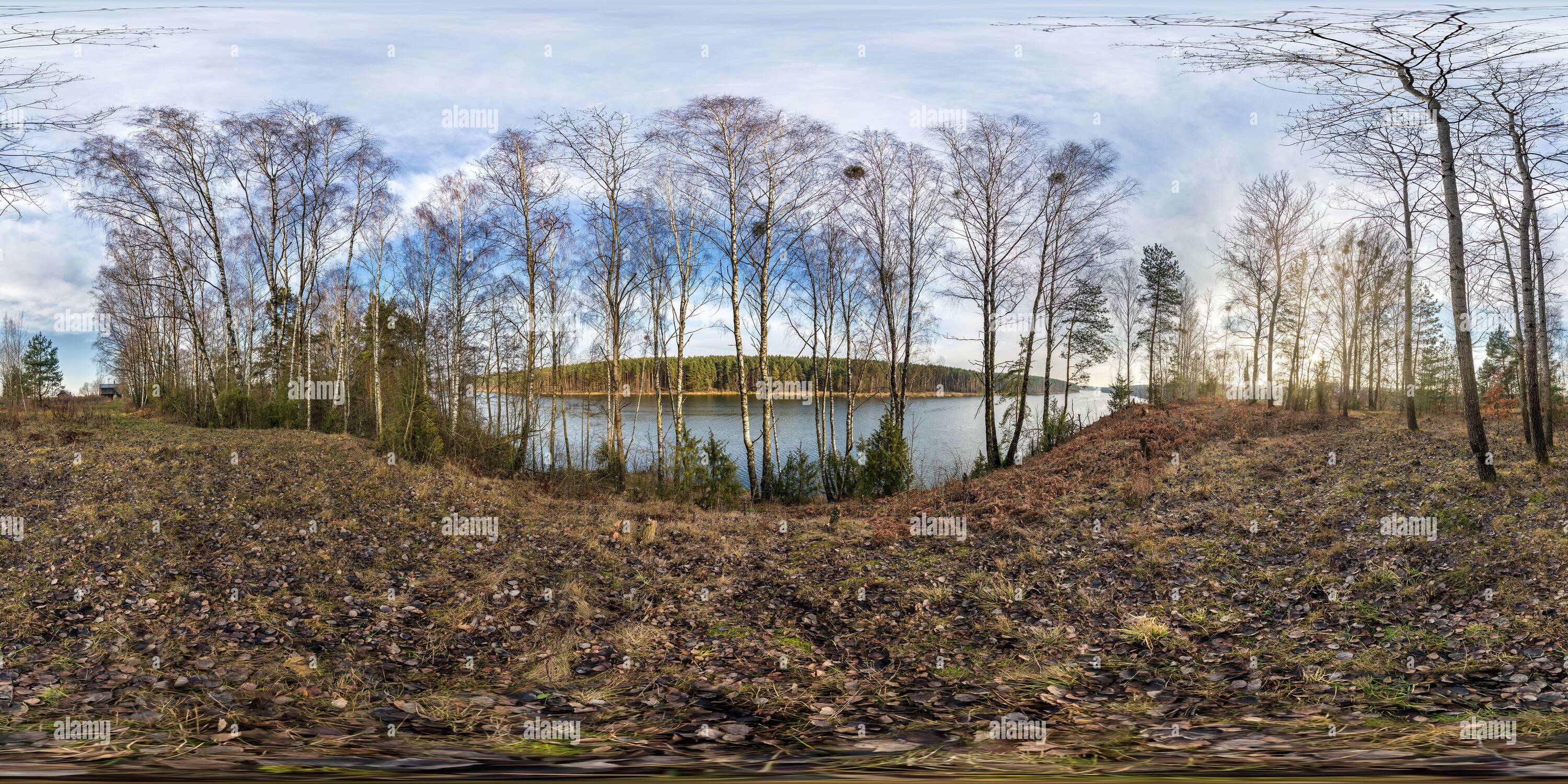 360° view of full seamless winter hdri panorama 360 degrees angle in ...