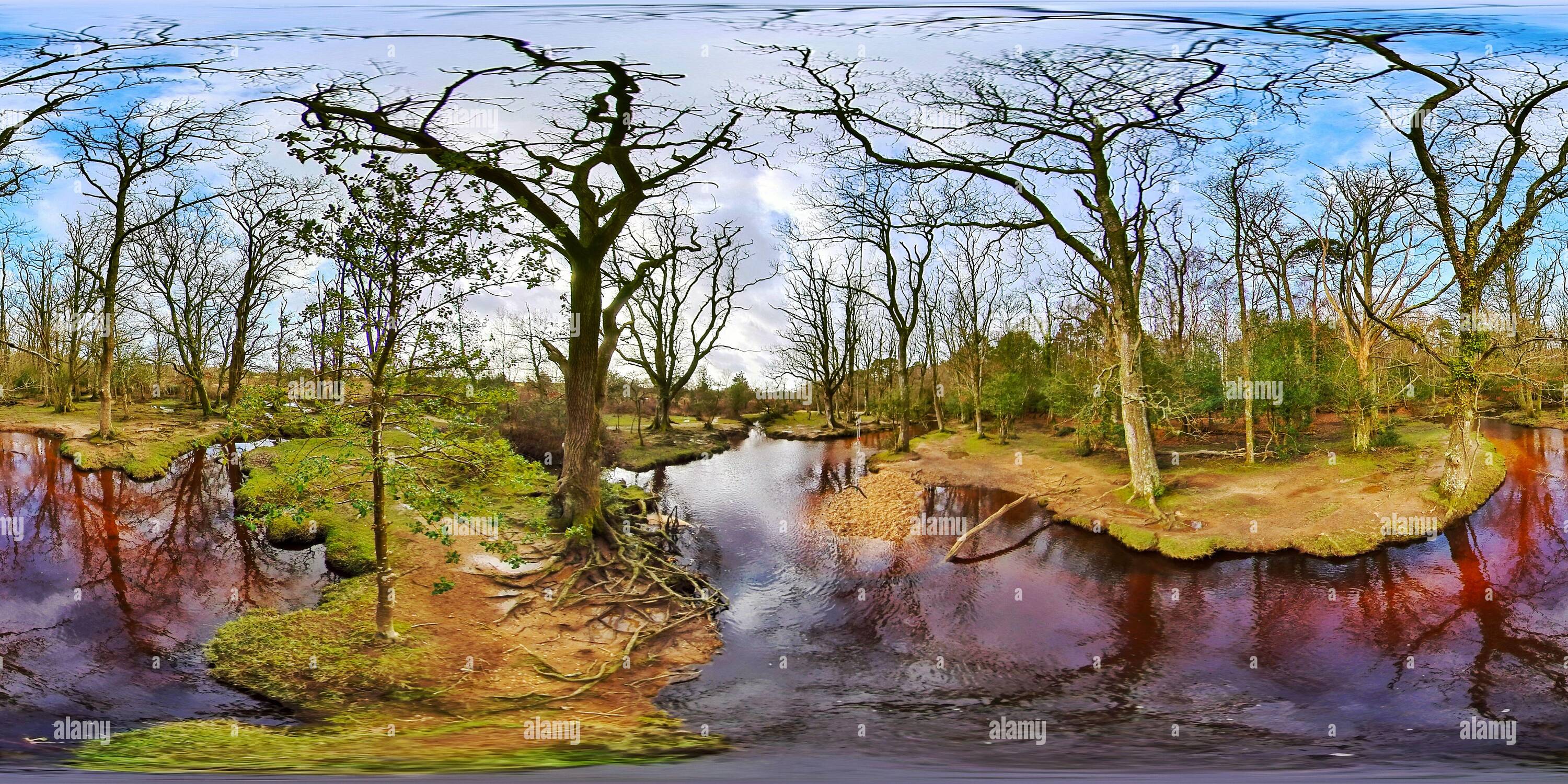 360° view of New Forest National Park Stream (360VR - Alamy