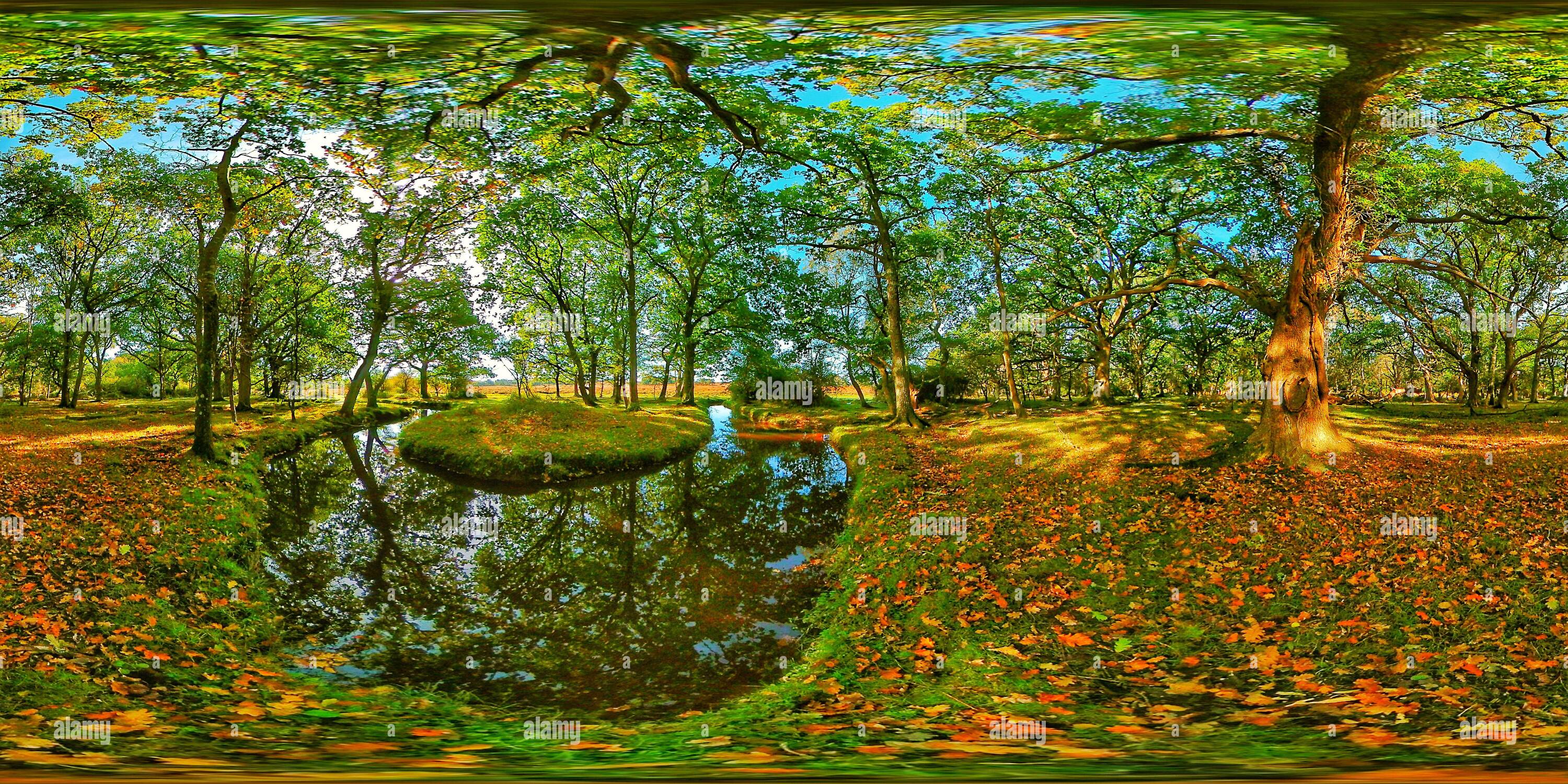 360° view of new forest stream 360 panorama (360VR - Alamy