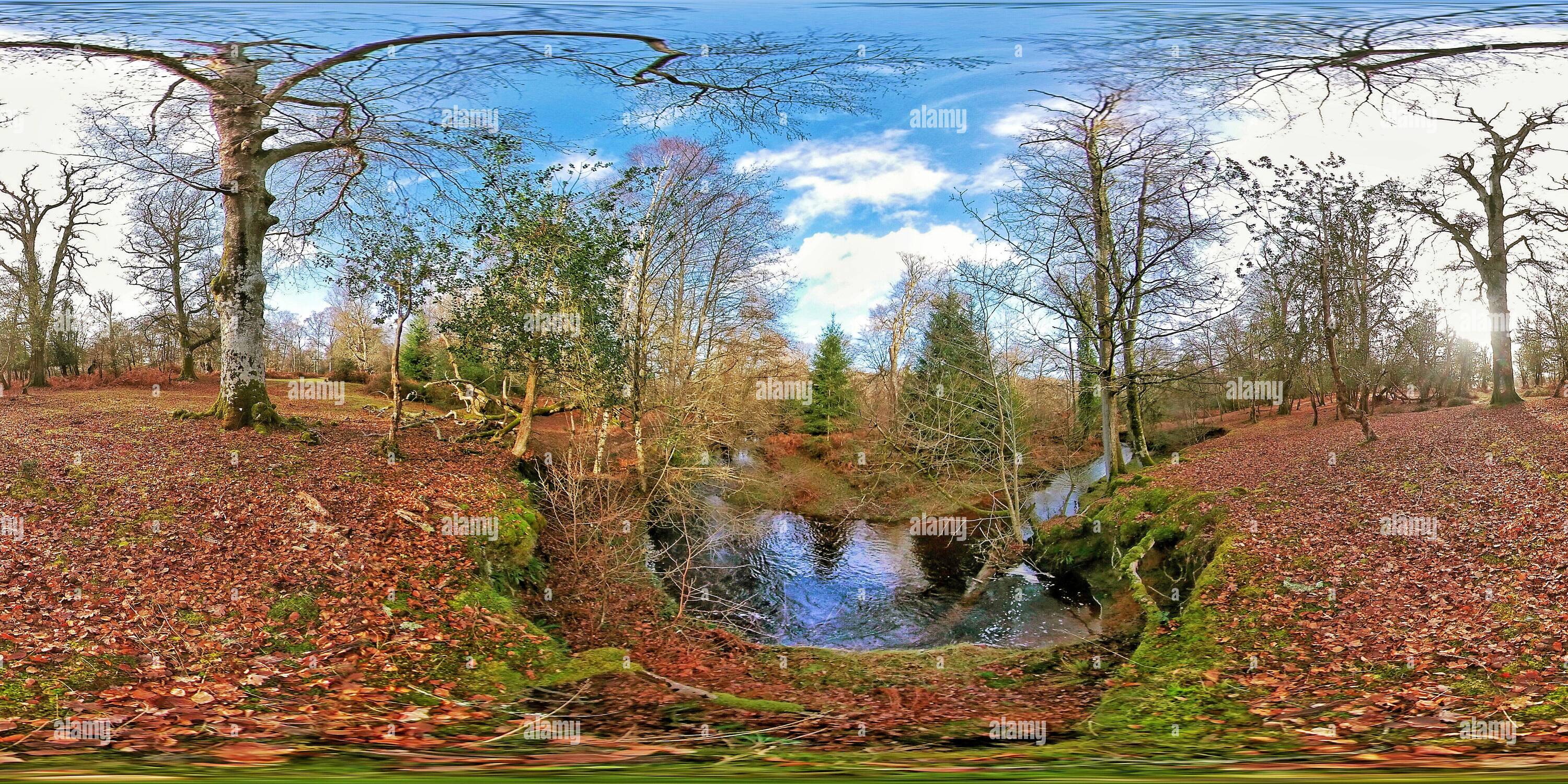 360° view of New forest landscape in 360VR - Alamy