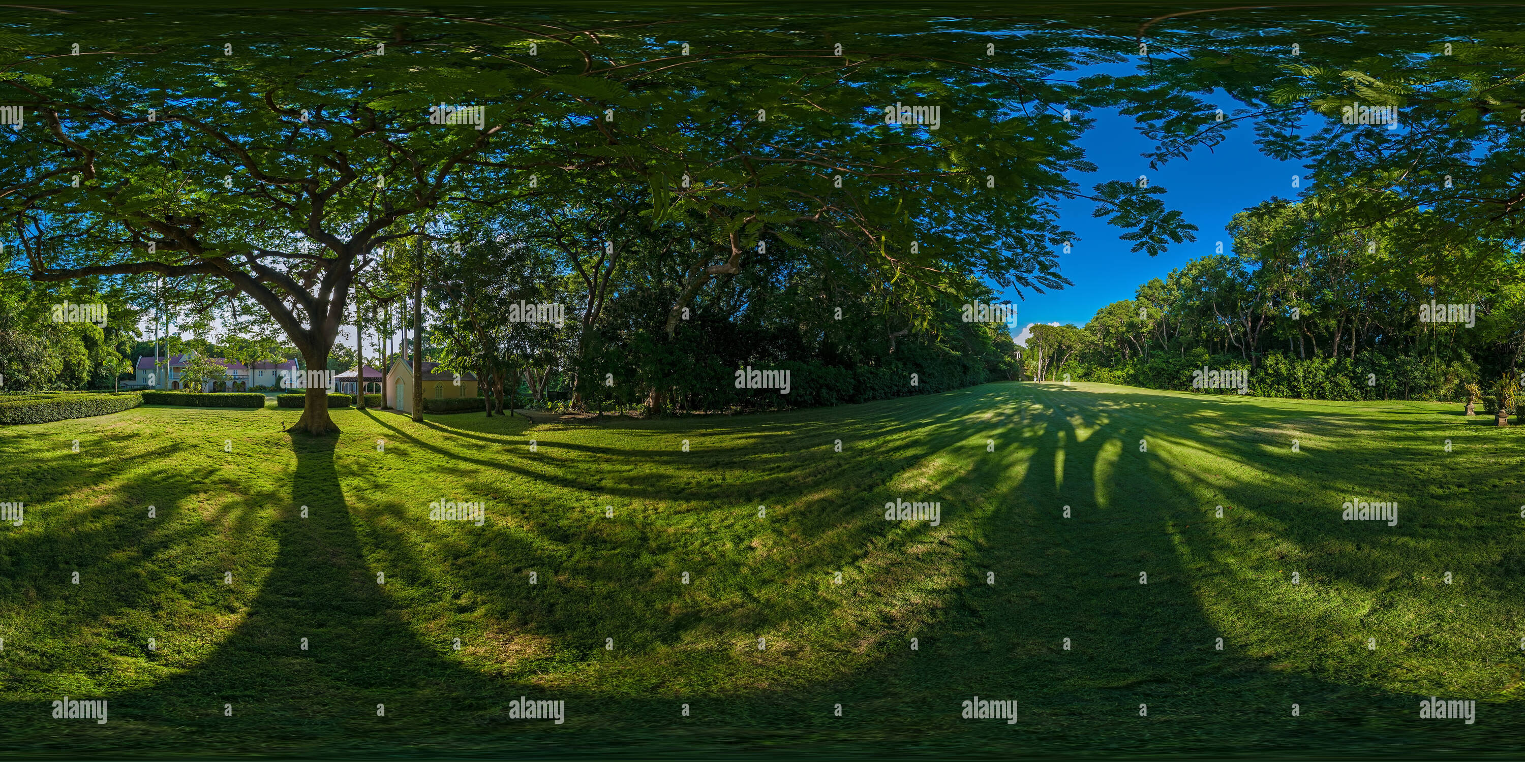 360° view of Sprawling lawn under tree - Alamy