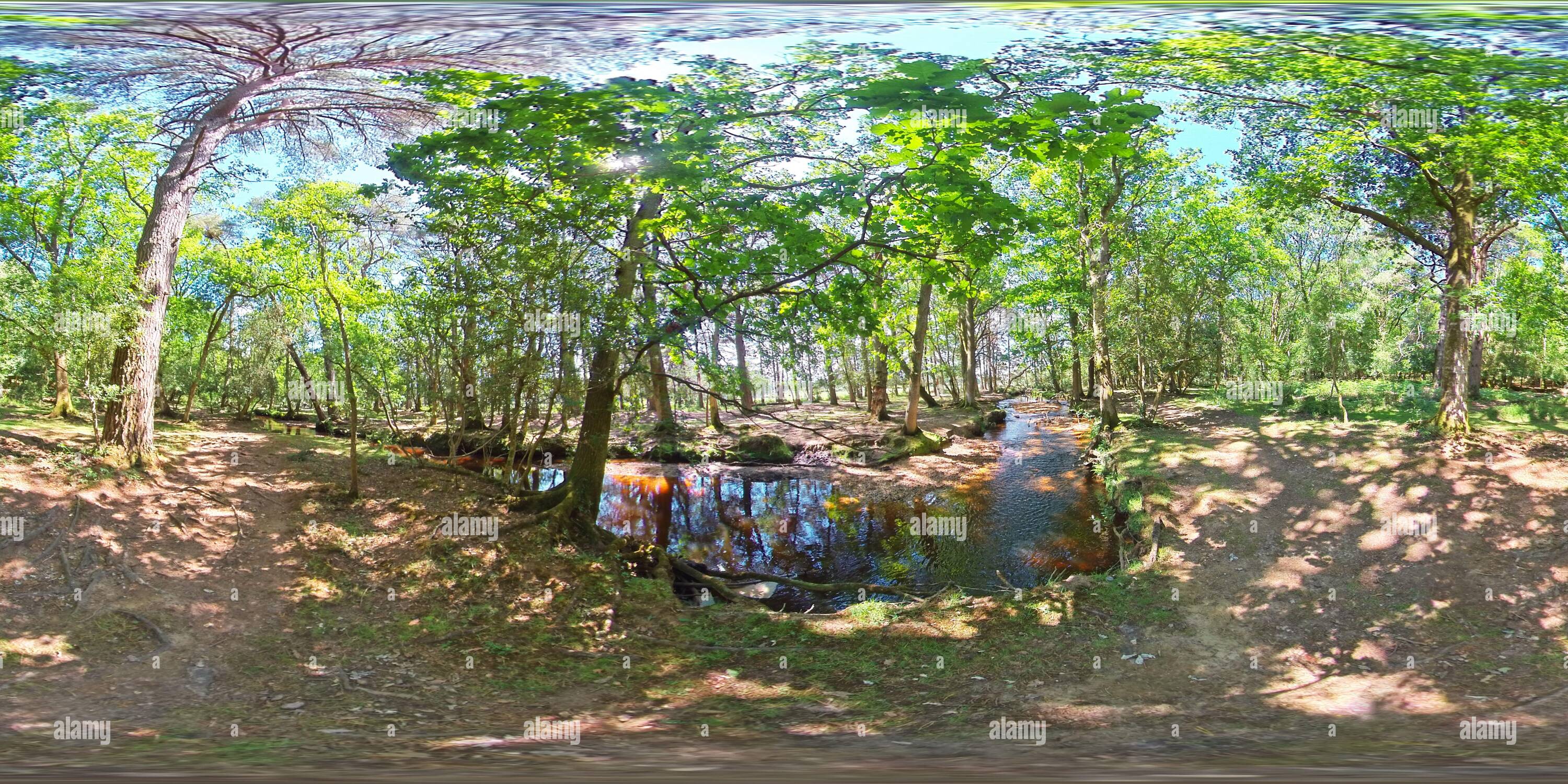 360° view of New Forest stream (360-VR - Alamy