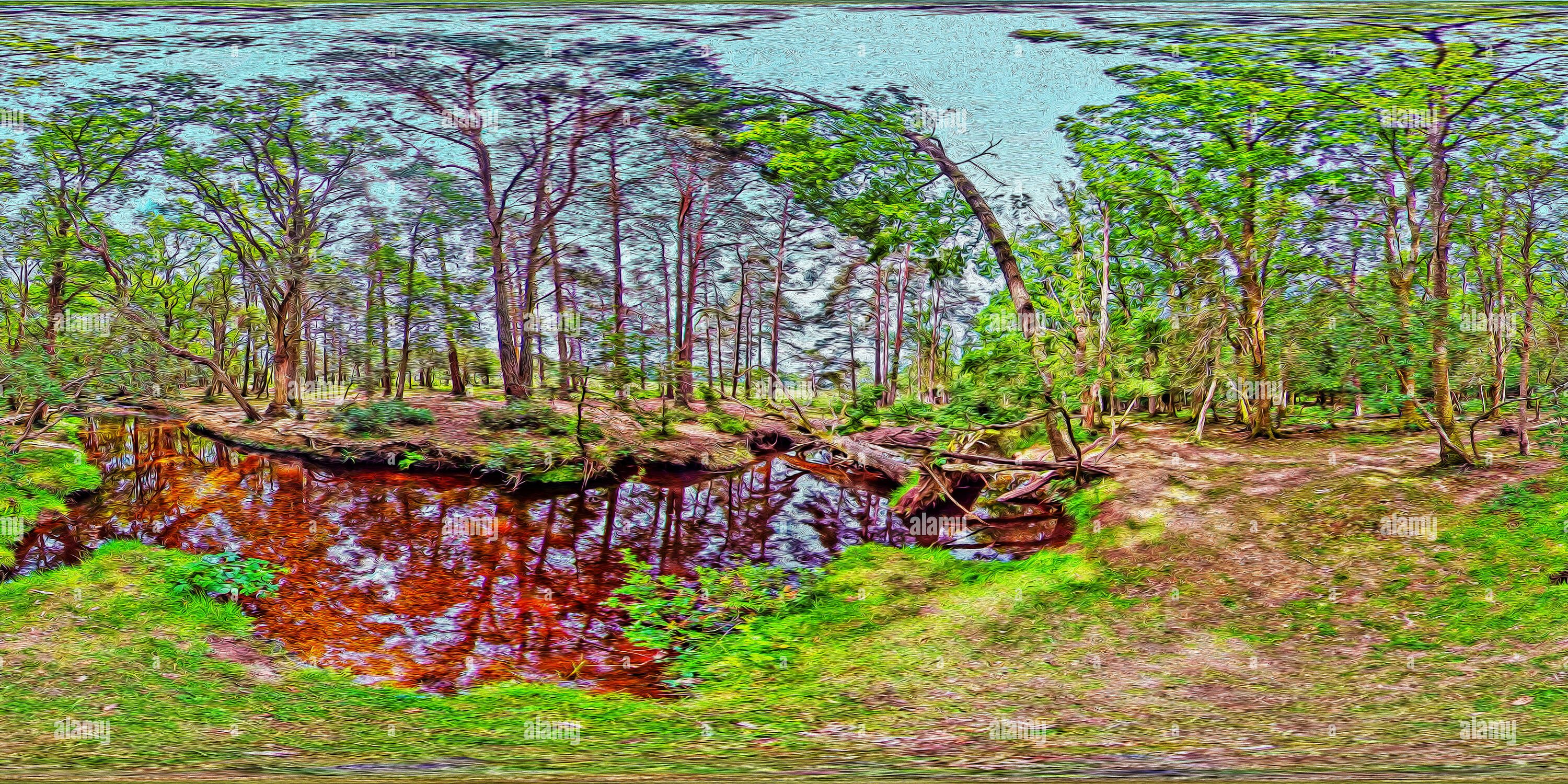 360° view of New Forest Stream (digital art - Alamy
