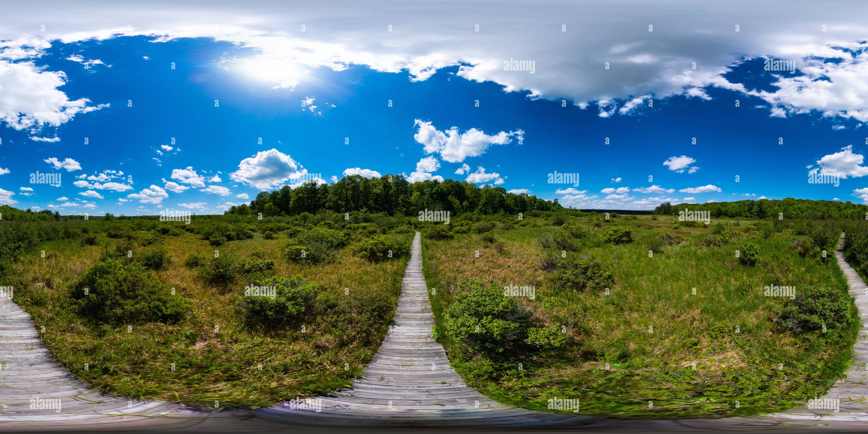 360° view of Beautiful blue sky over a marsh accessible via boardwalk ...