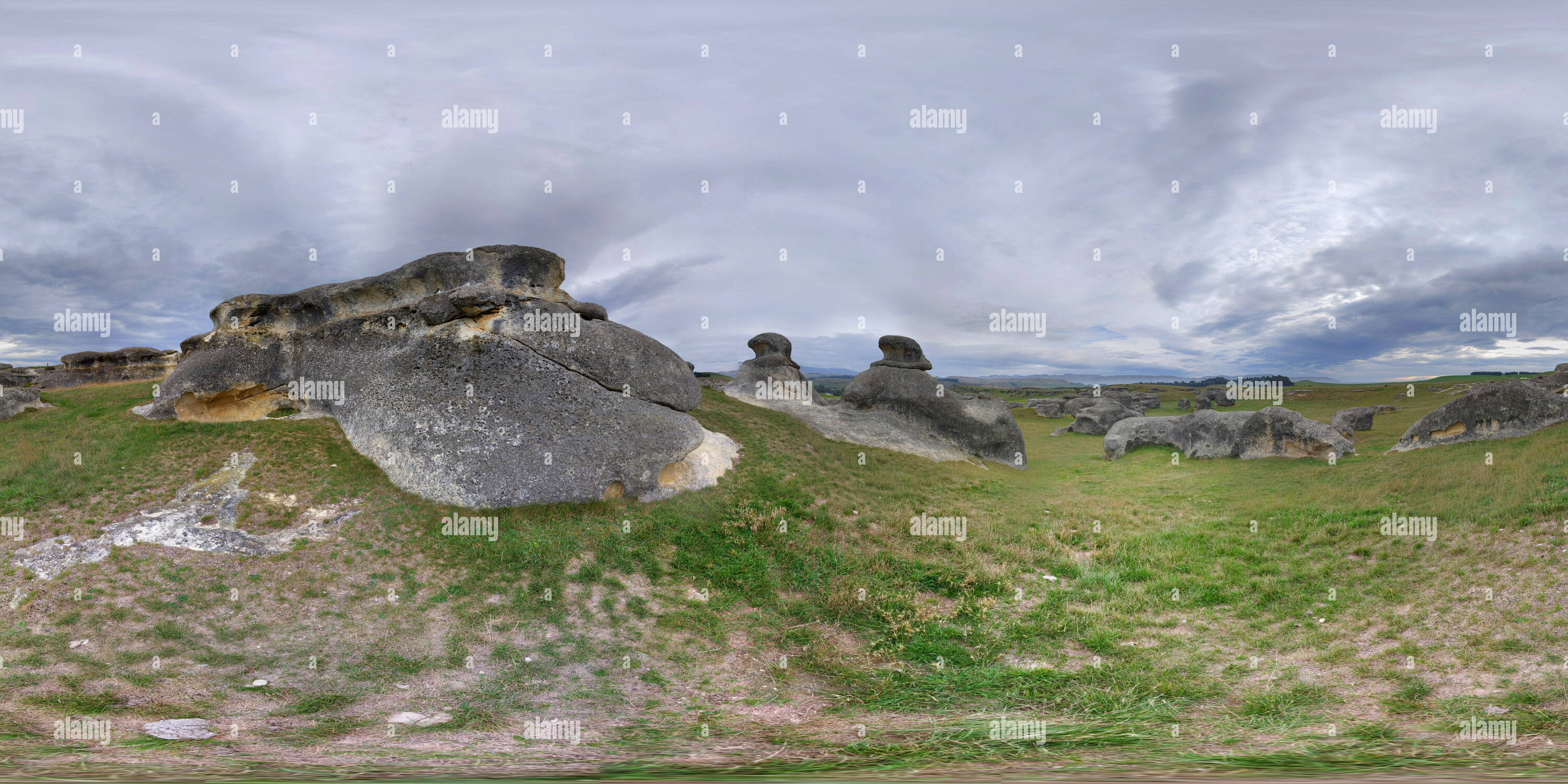 Elephant 360 hi-res stock photography and images - Alamy