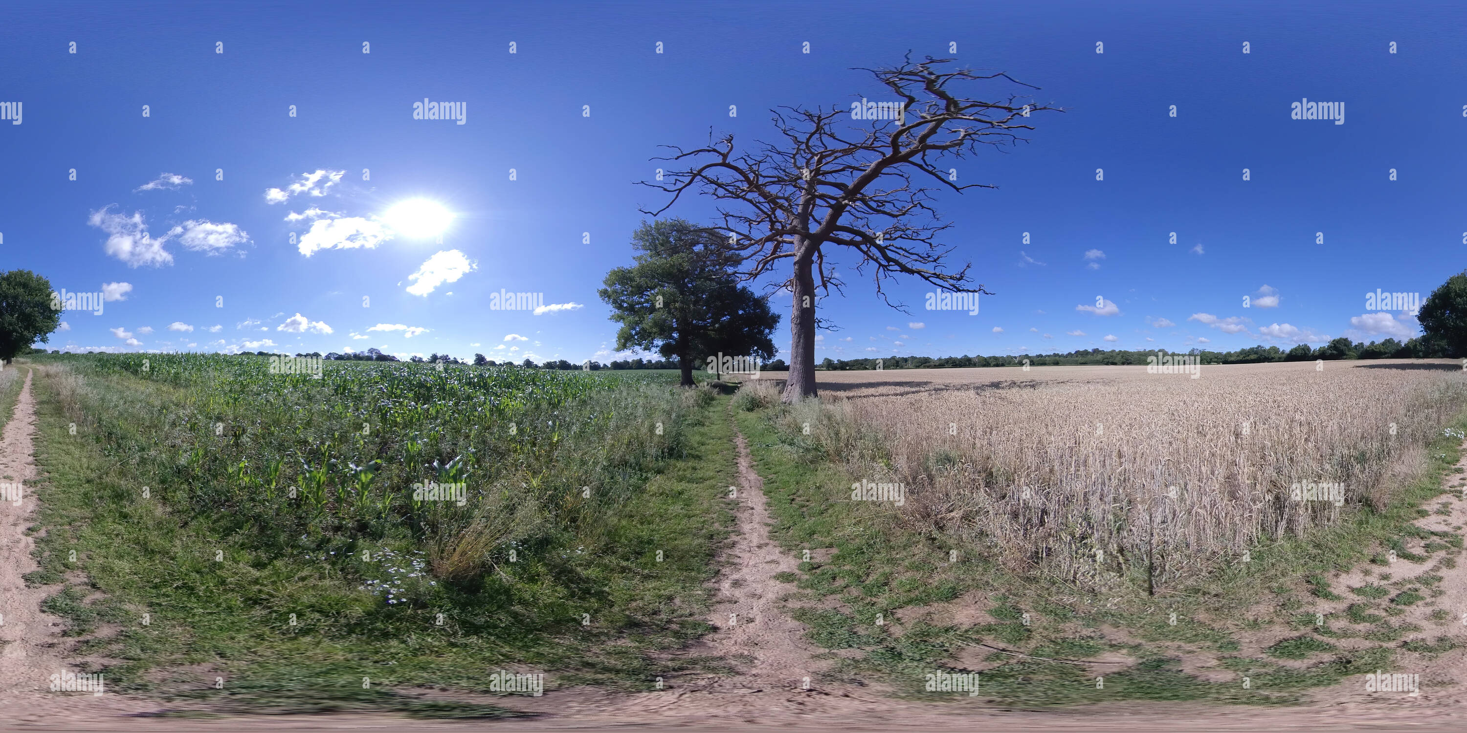 360° view of Path through English Farmland - Alamy