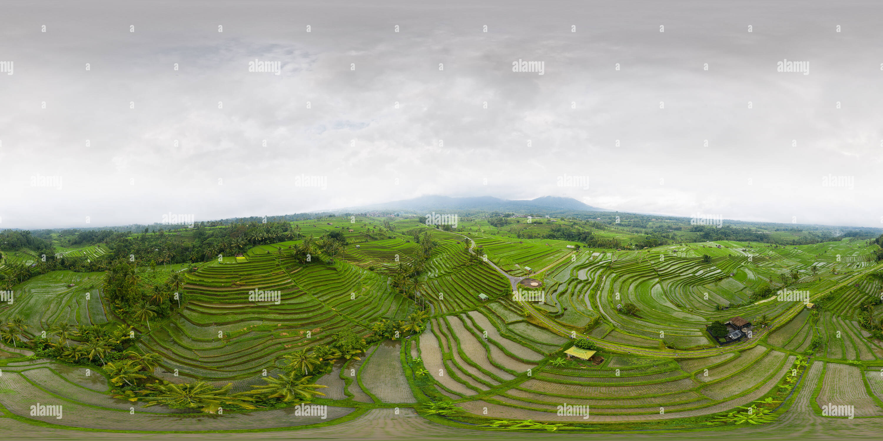 360° view of Jatiluwih, Bali - UNESCO World Heritage - Alamy
