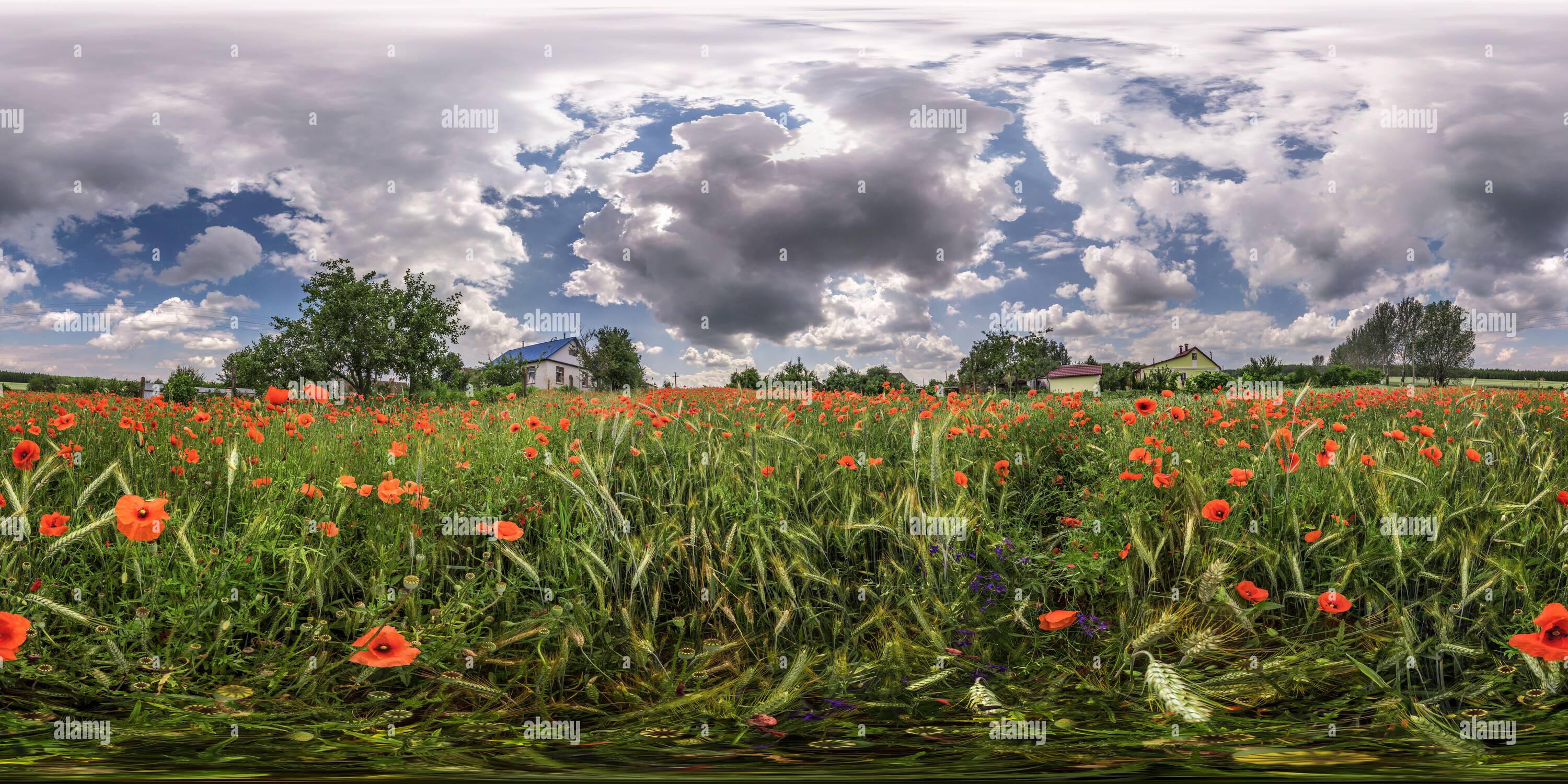 360° view of full seamless spherical hdri panorama 360 degrees angle ...