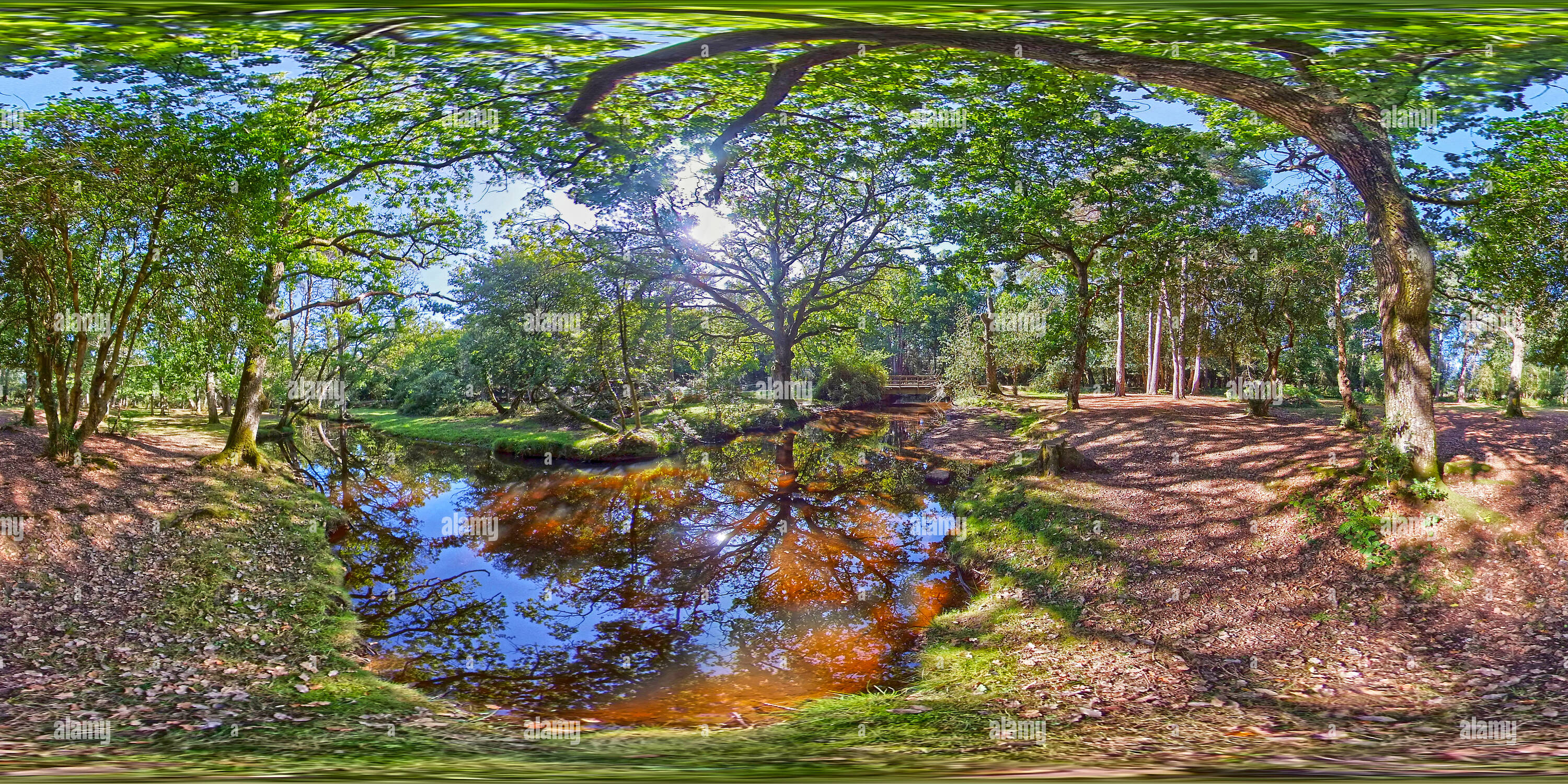 360° view of Ober Water in the New Forest Hampshire, England August ...