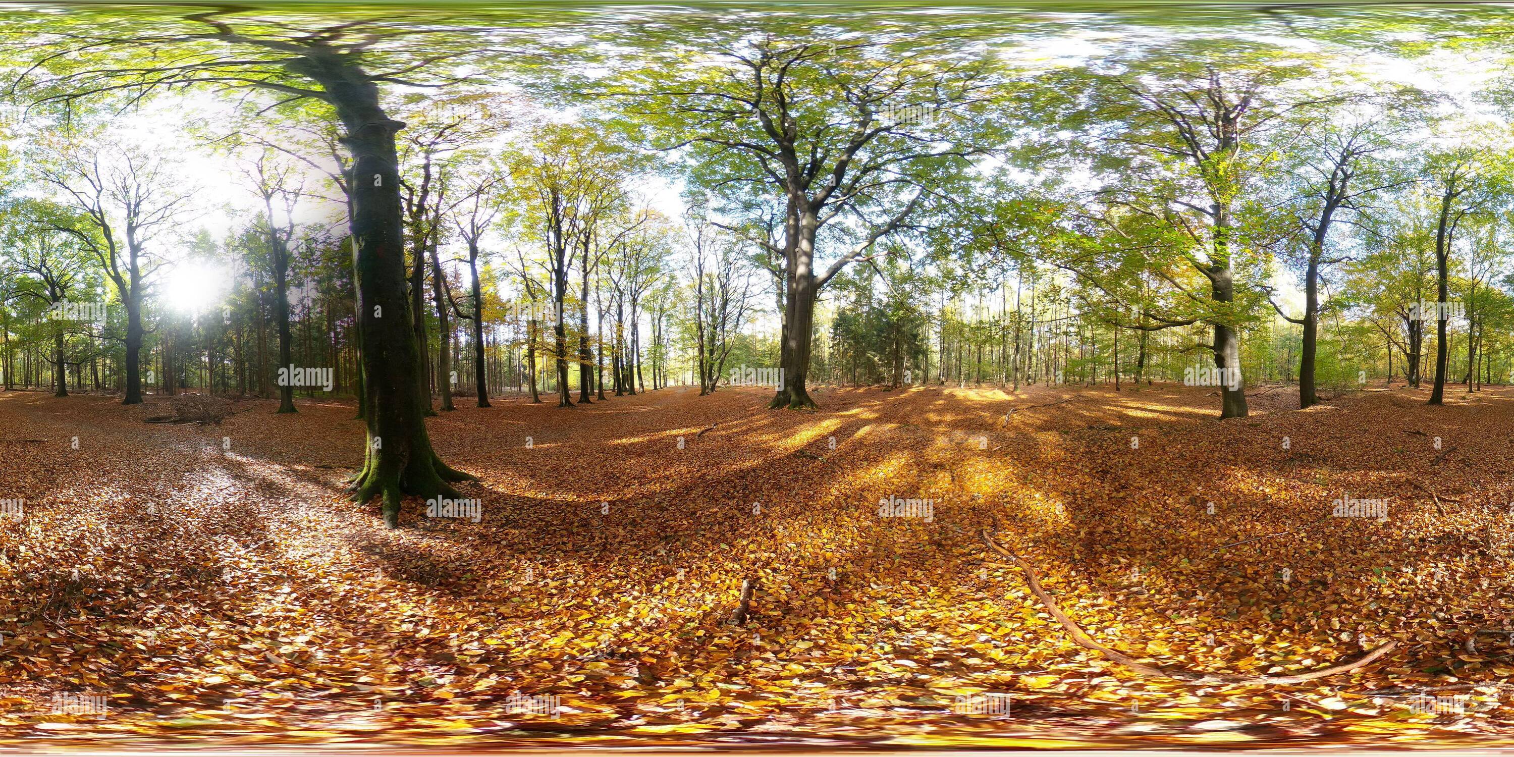 De Doorn High Resolution Stock Photography and Images - Alamy