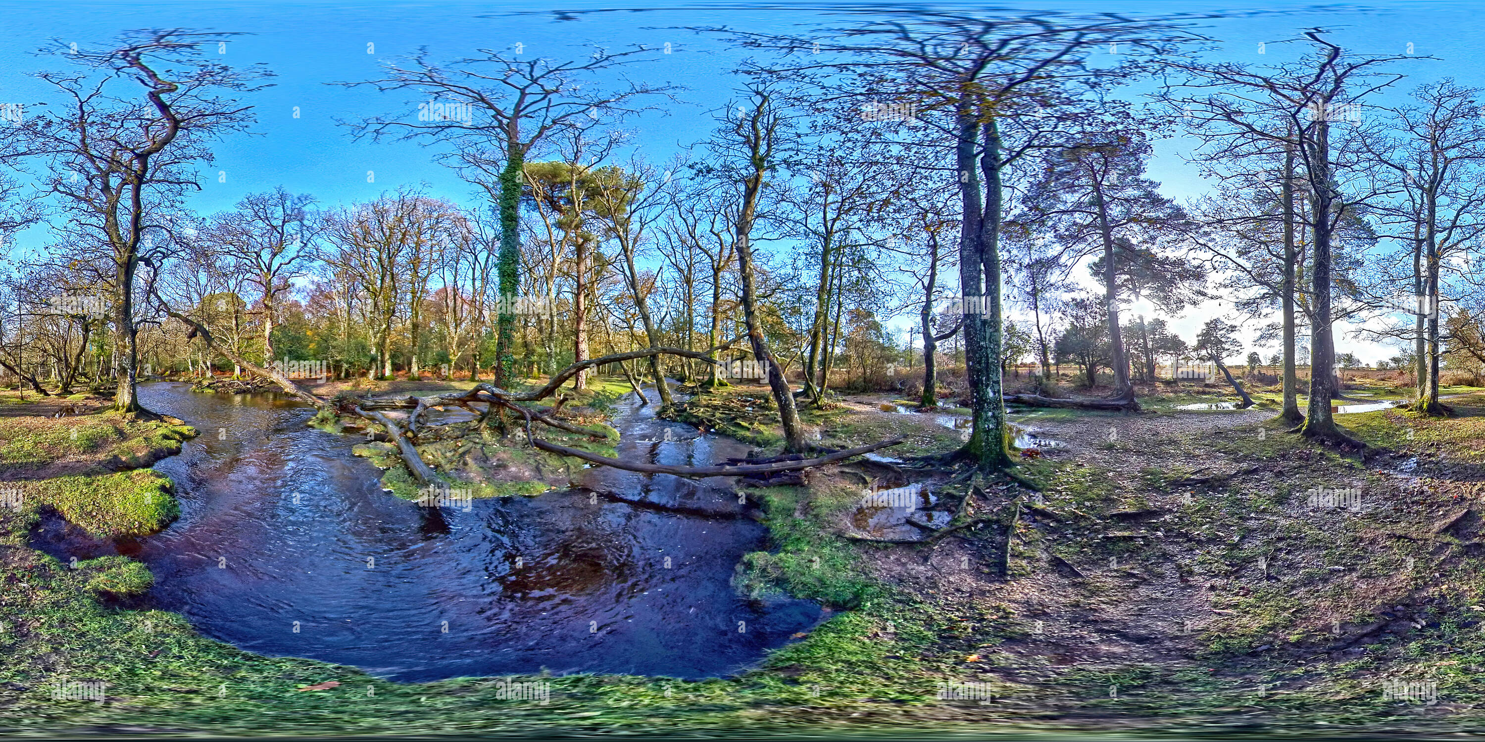 360° view of Ober Water stream in the New Forest National Park ...