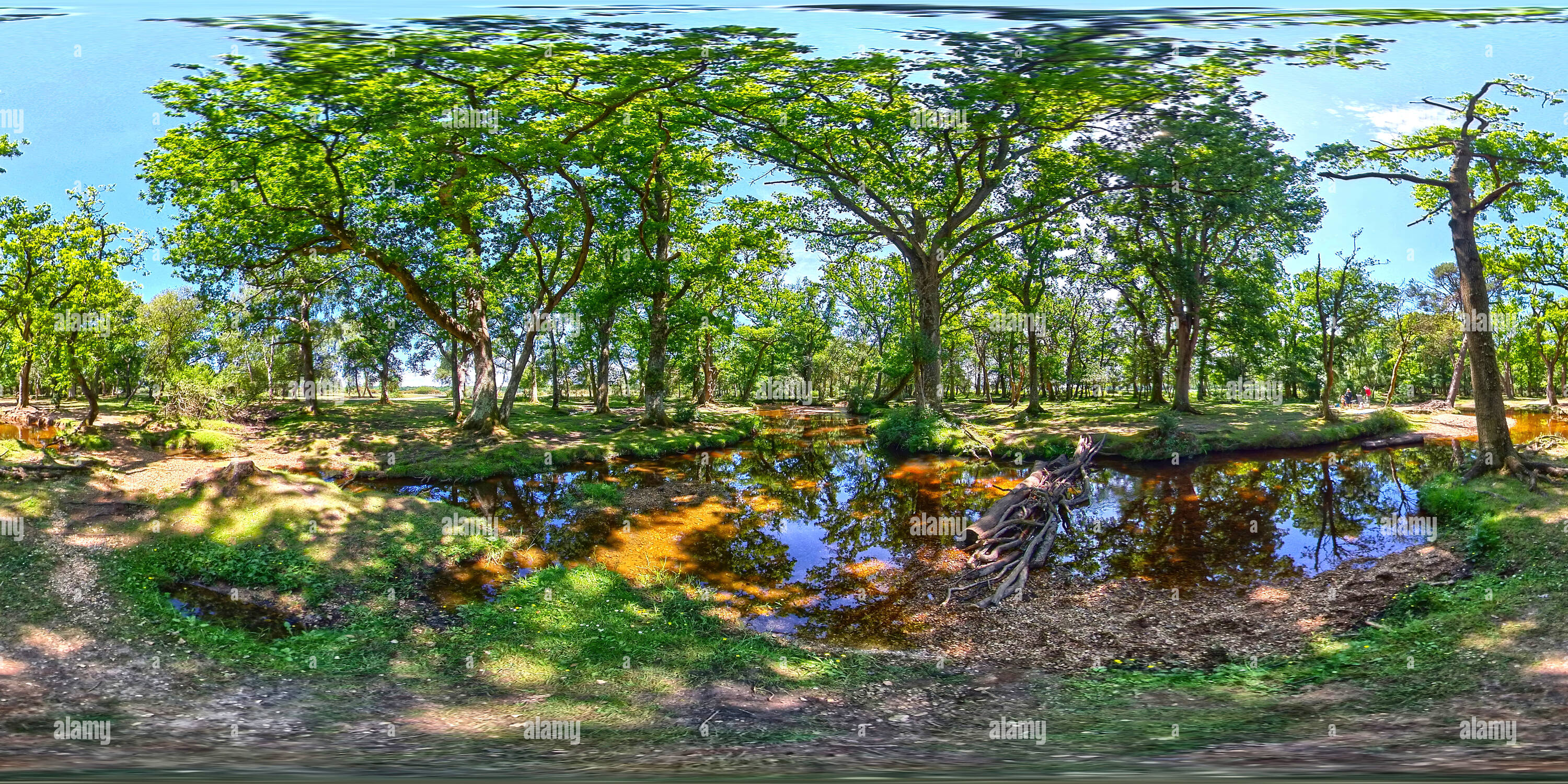 360° view of Ober Water stream in the New Forest National Park ...