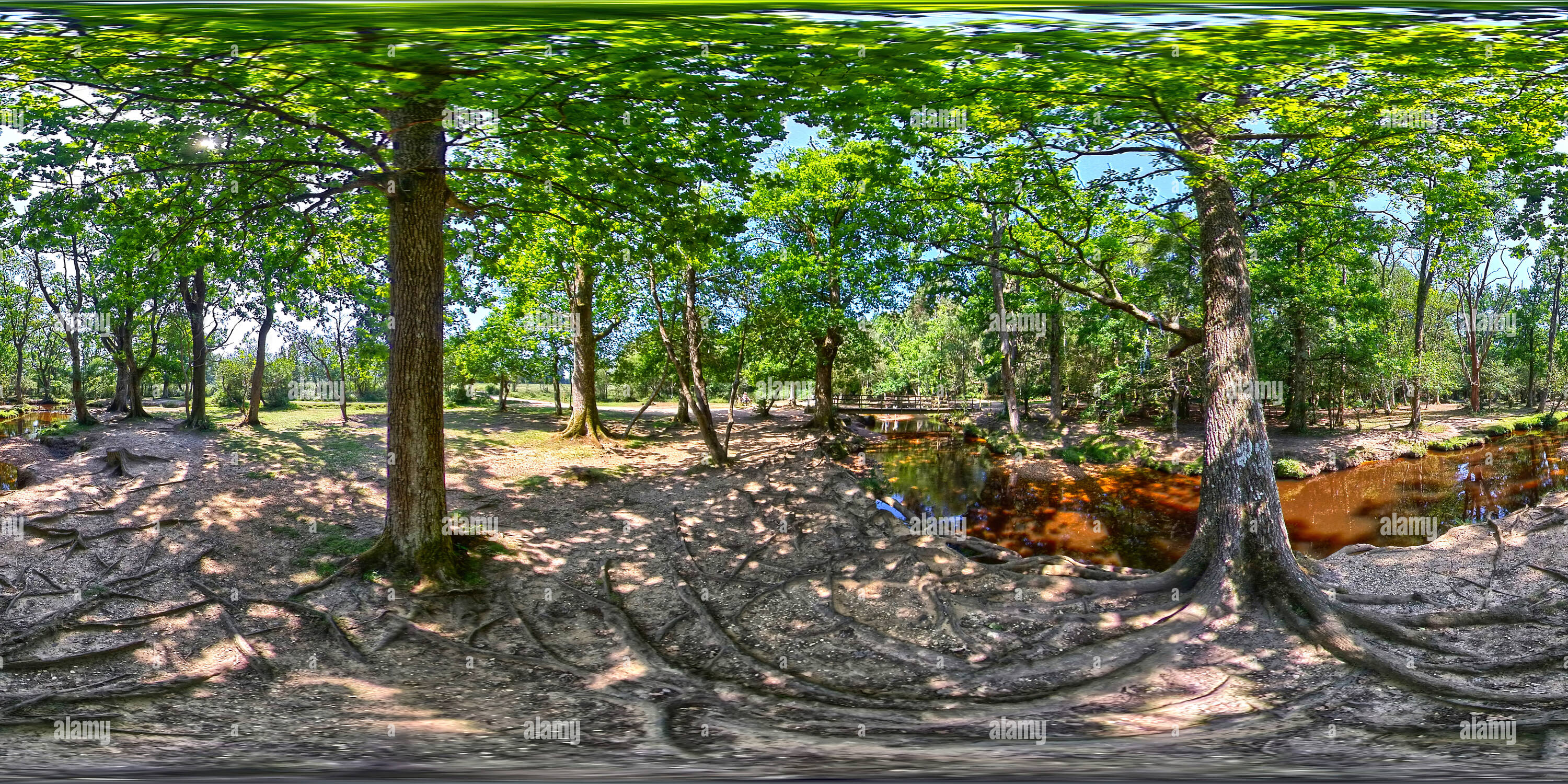 360° view of Walking along the tranquil Ober Water stream in the New ...