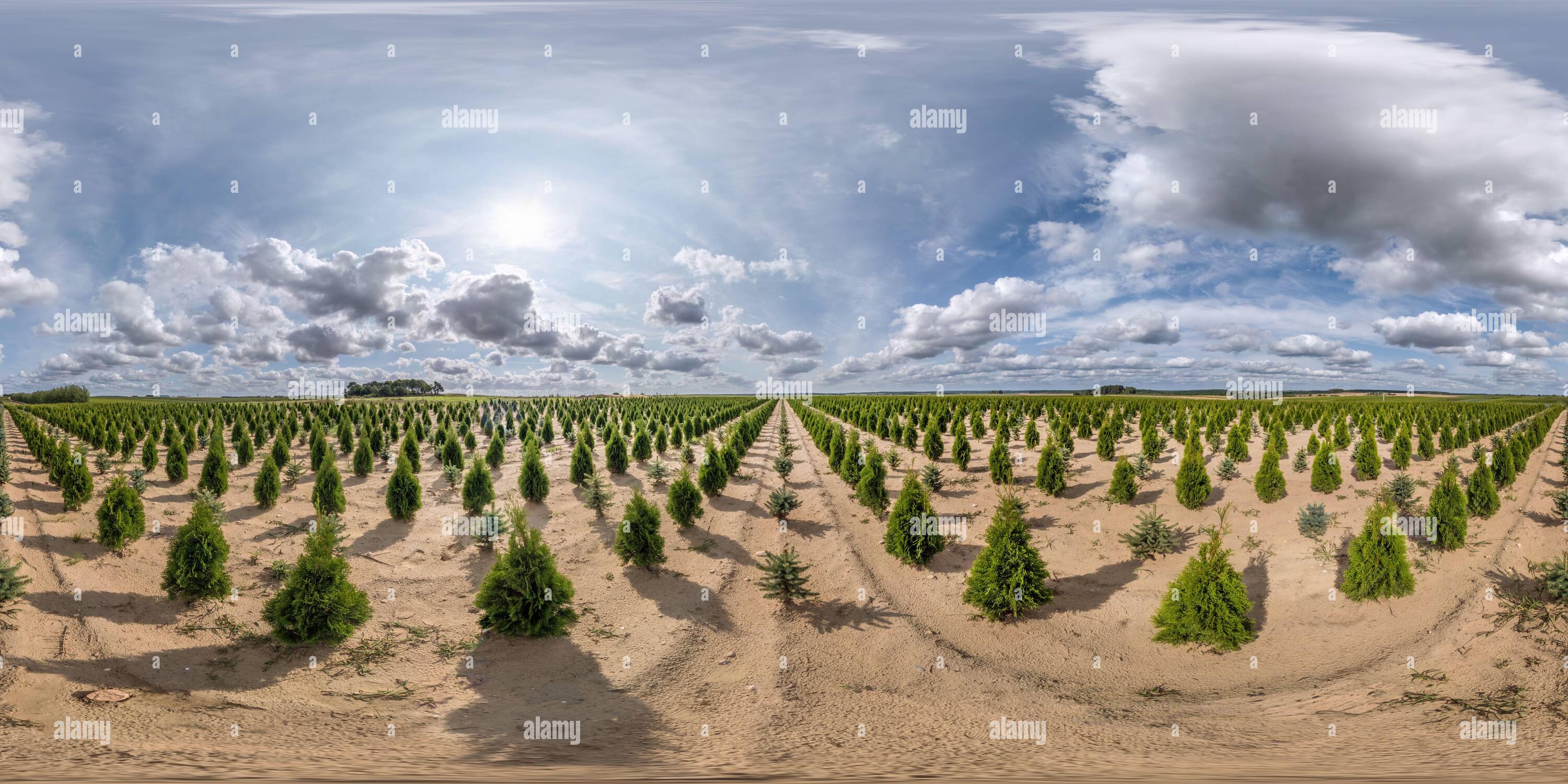 360° view of full seamless spherical hdri panorama 360 degrees angle ...