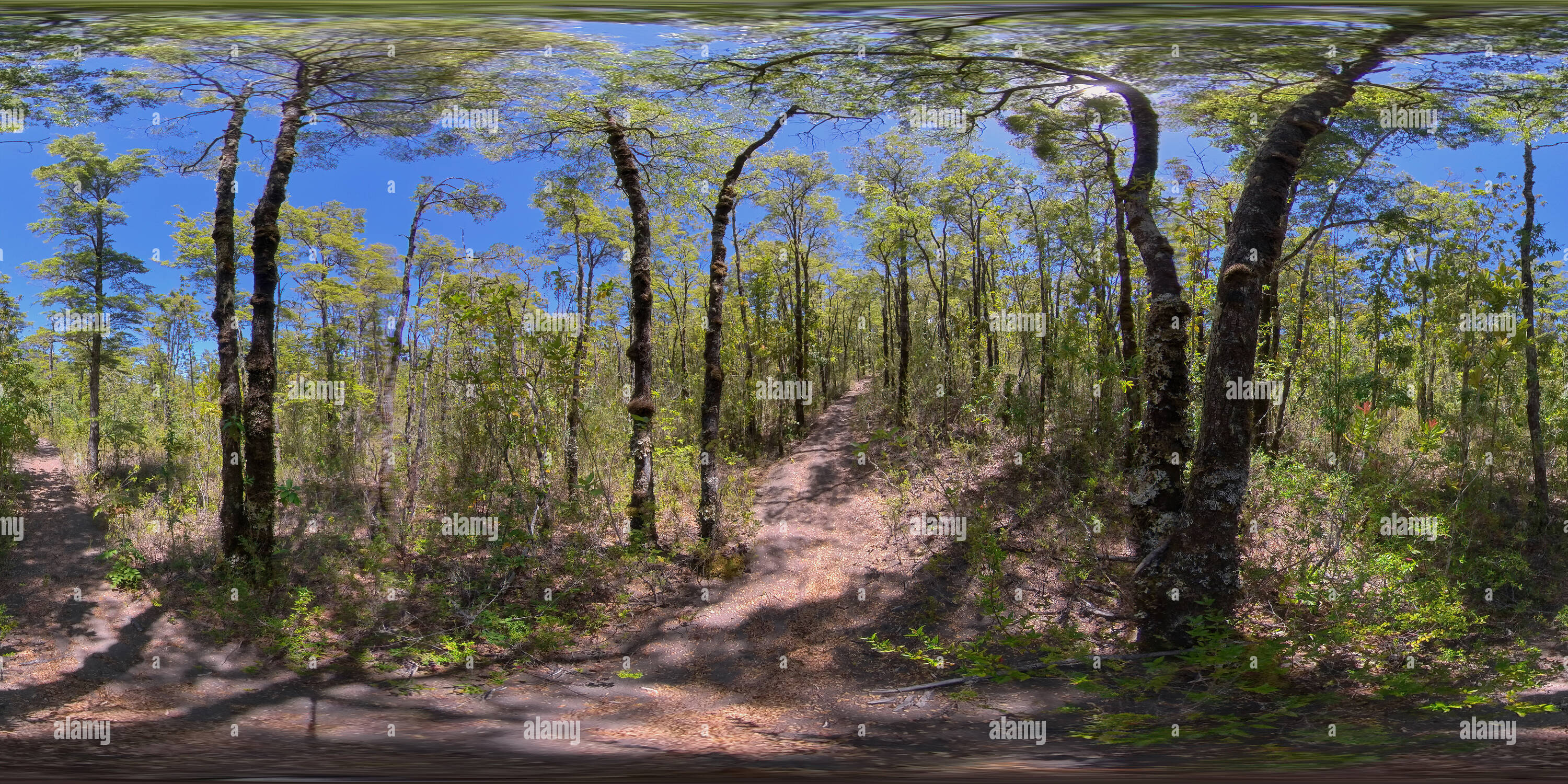 Vr360 panorama hi-res stock photography and images - Alamy