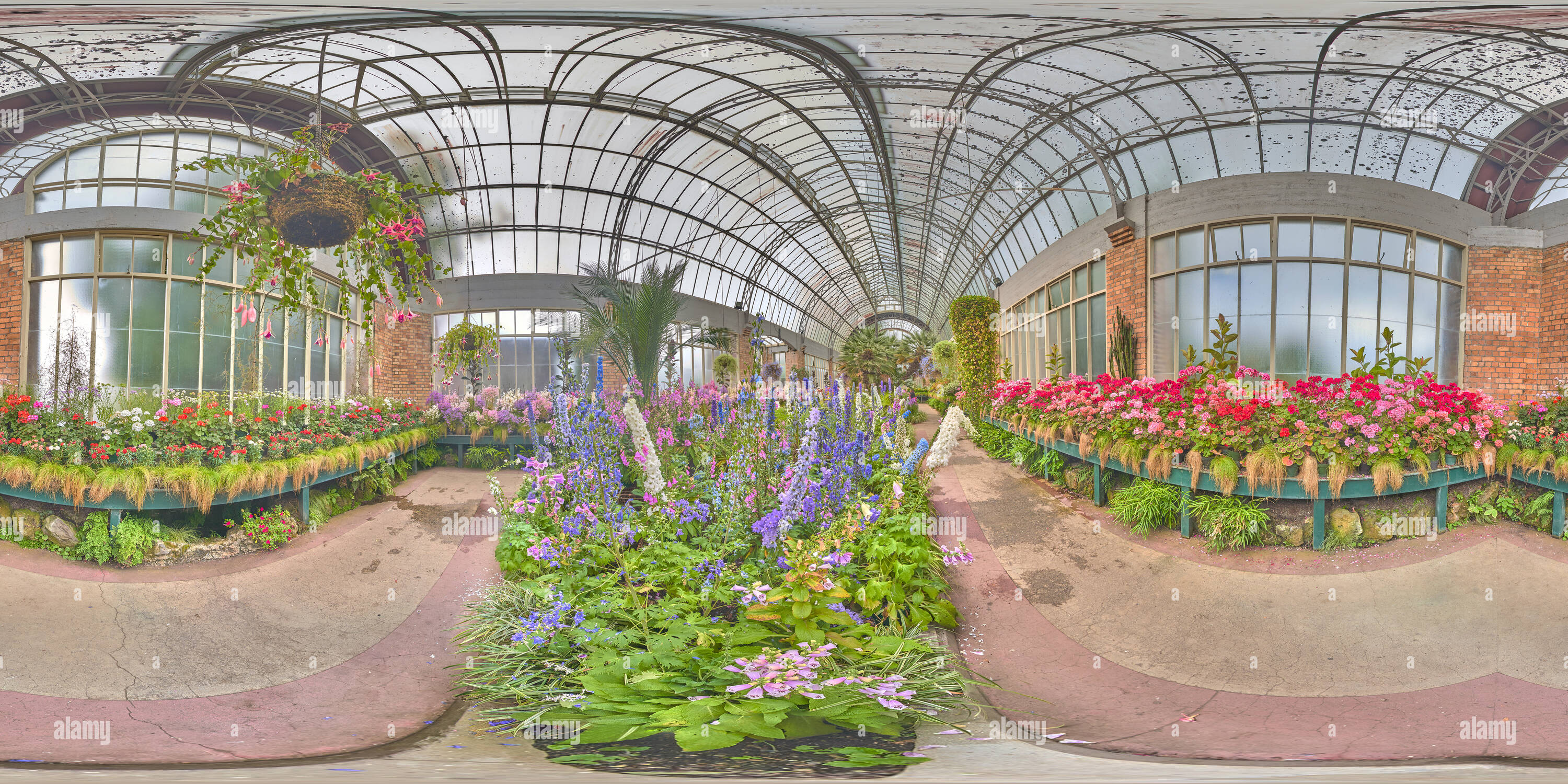 8k 360 hi-res stock photography and images - Alamy