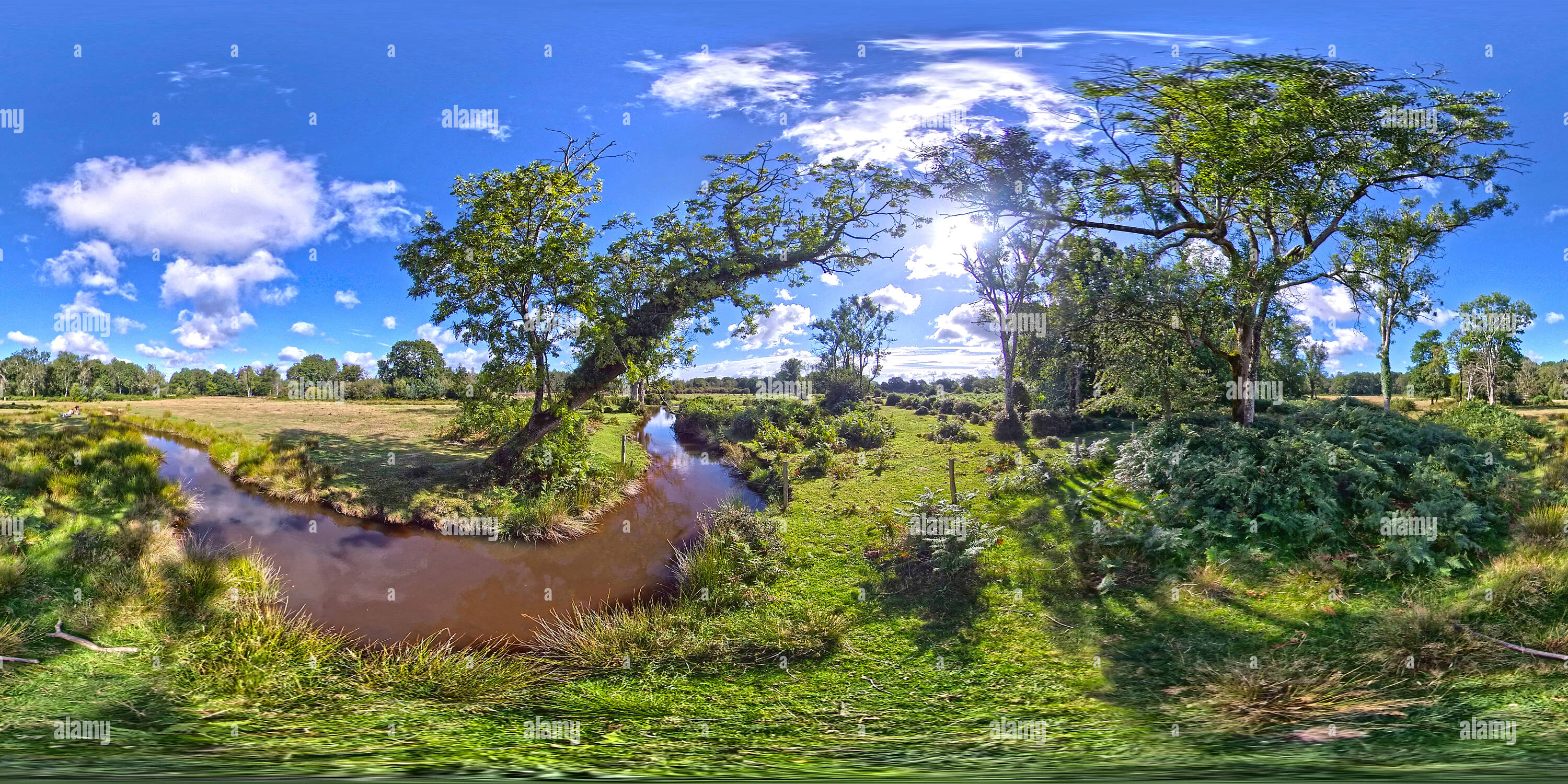 360° view of Flechs Water stream in the New forest National Park ...