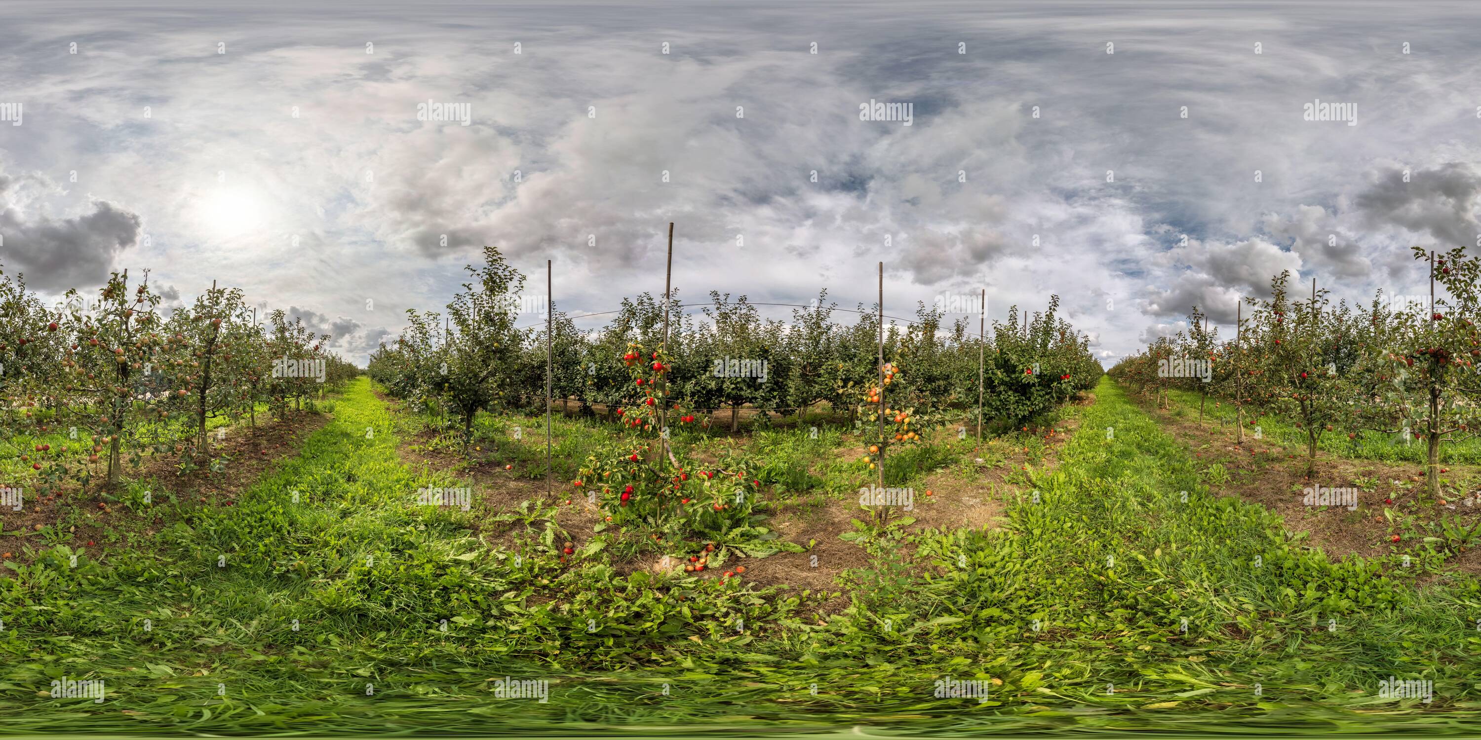 360° view of full seamless spherical hdri panorama 360 degrees angle ...