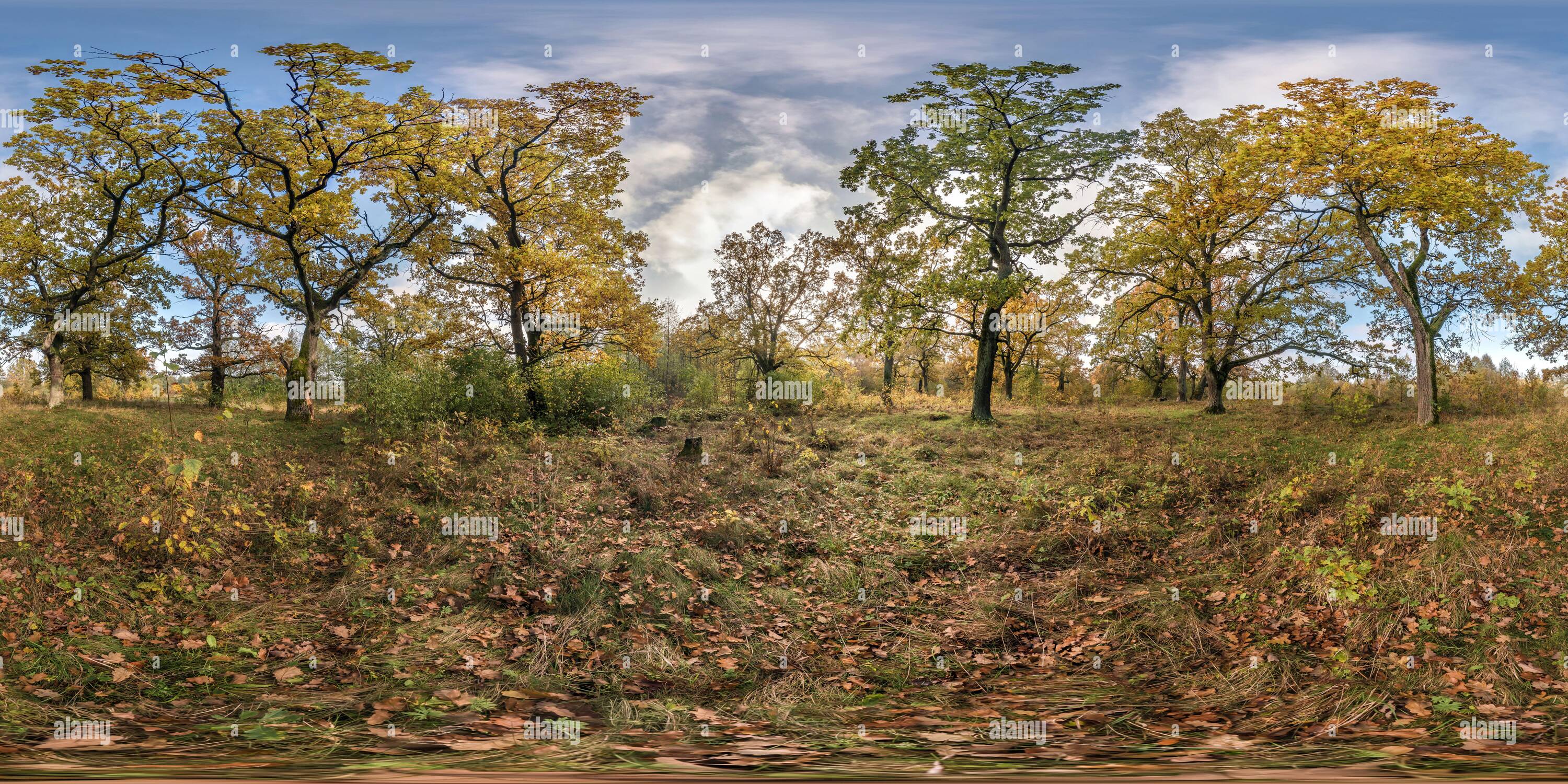 360° view of full spherical hdri panorama 360 degrees angle view of ...