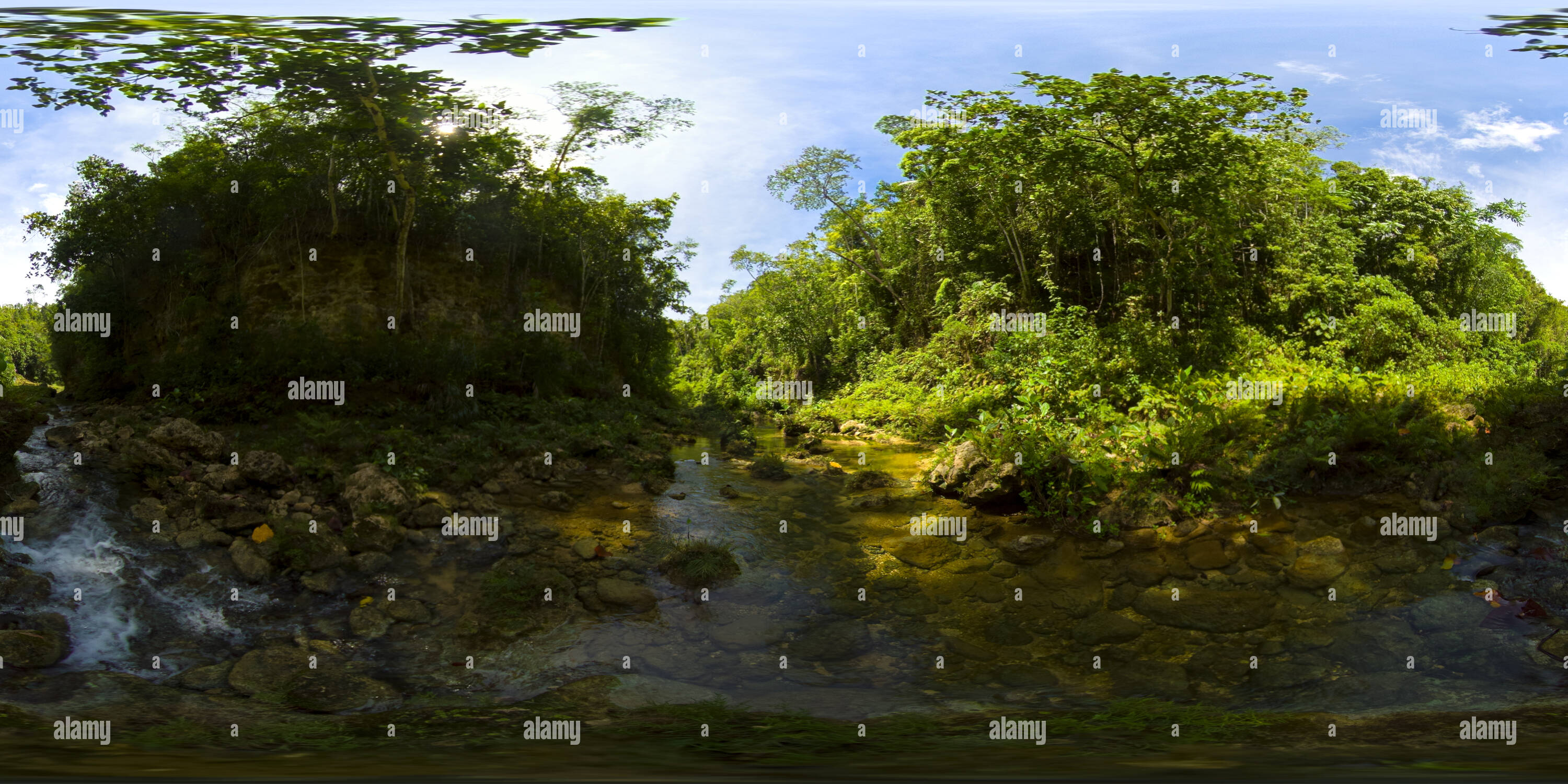 360° view of River in the rainforest. Philippines, Bohol - Alamy