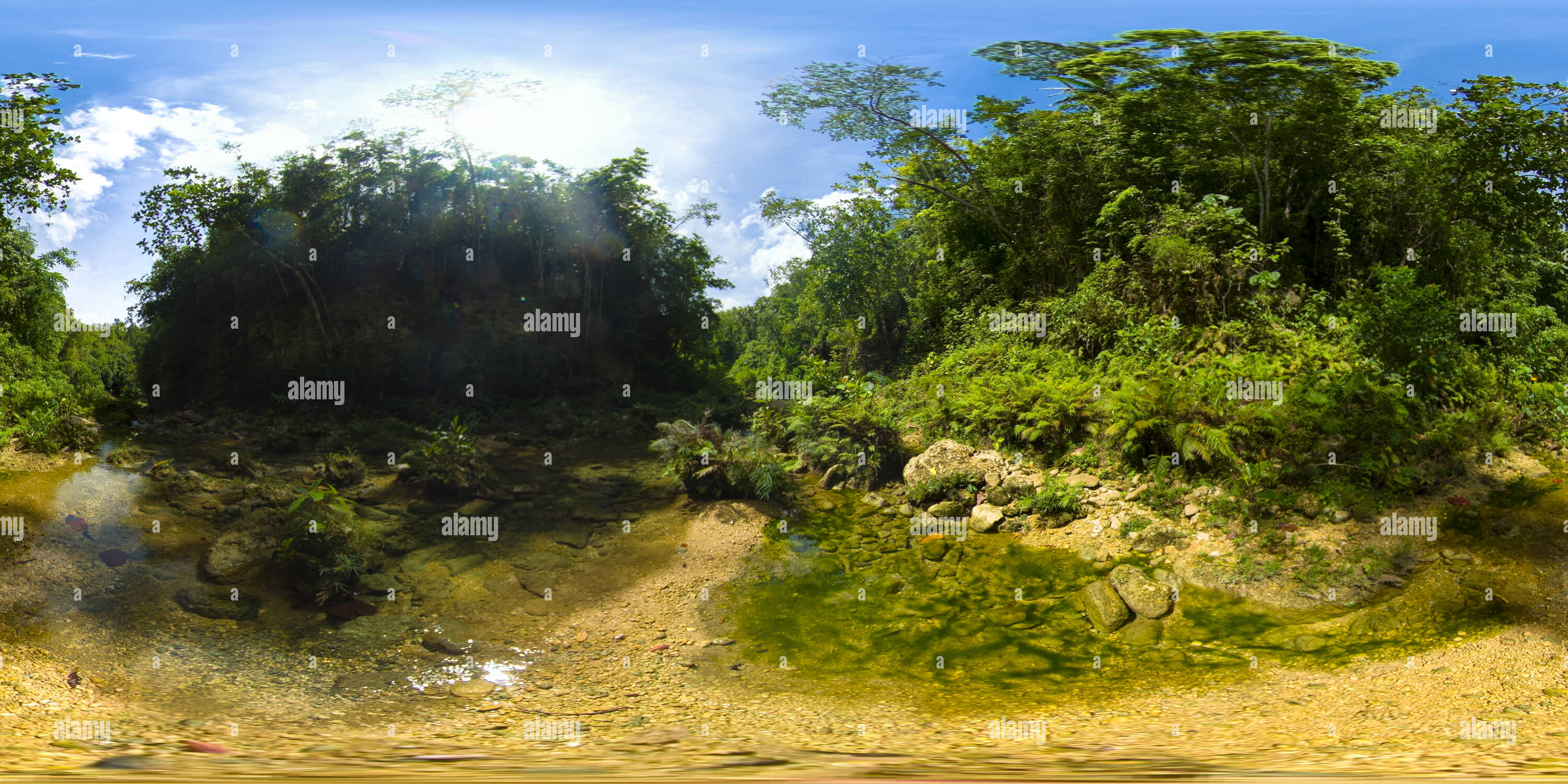 360° view of River in the rainforest. Philippines, Bohol - Alamy