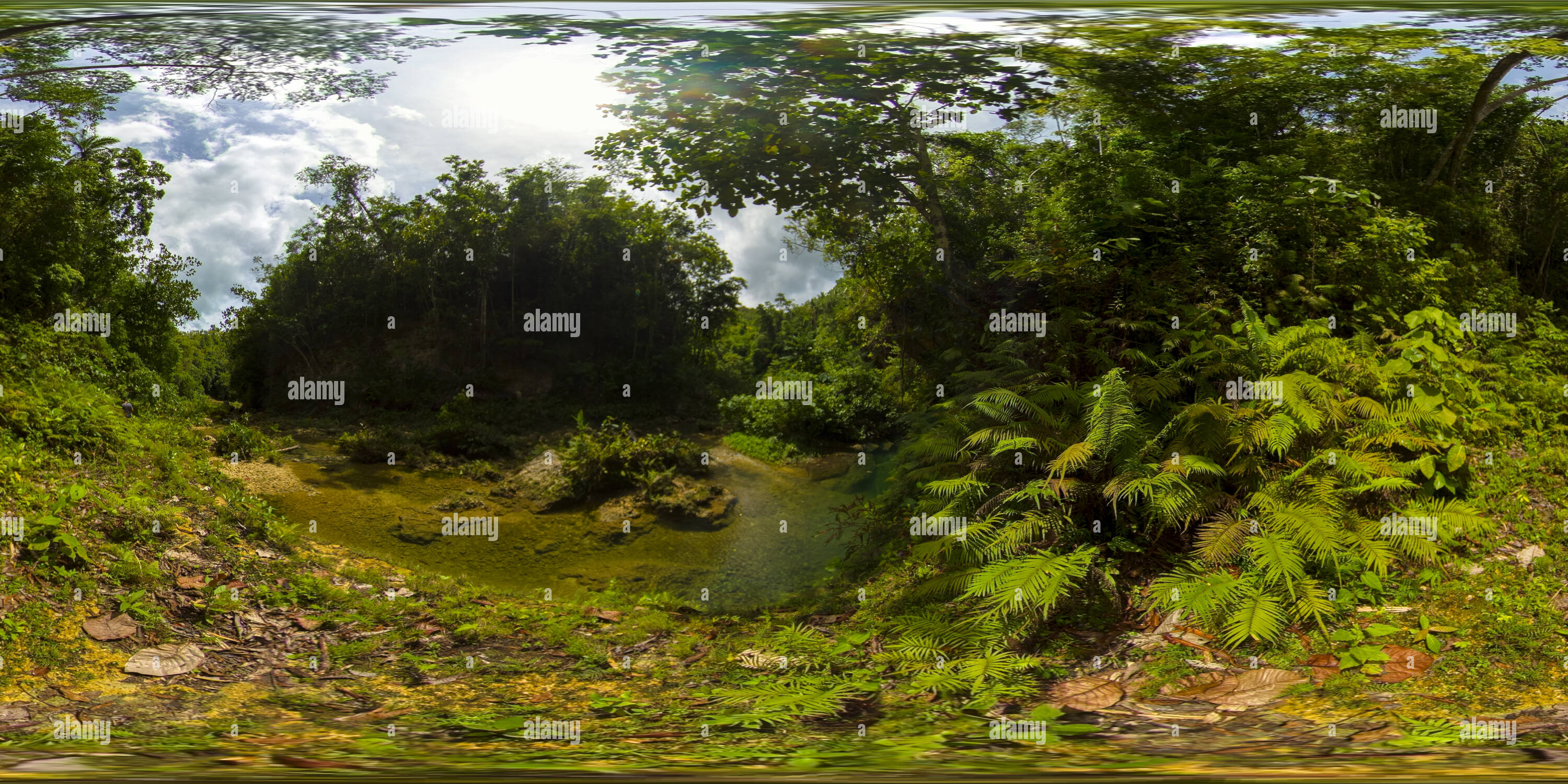 360° view of River in the rainforest. Philippines, Bohol - Alamy