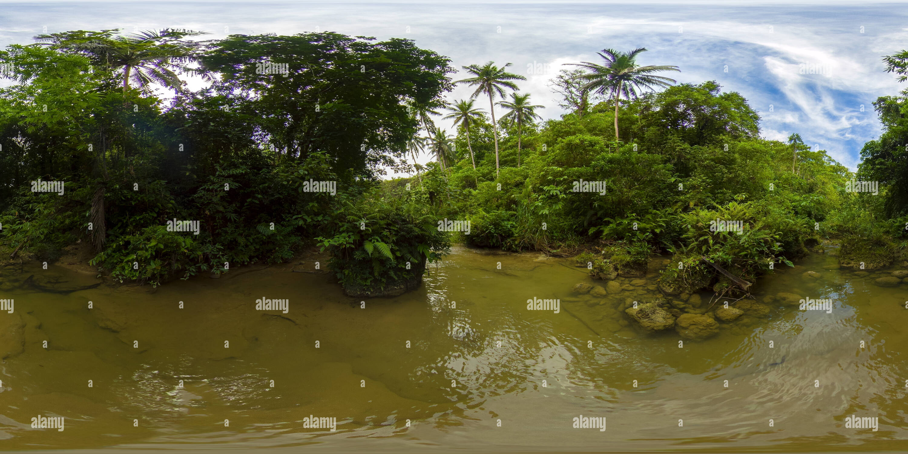 360° view of River in the rainforest. Philippines, Bohol - Alamy