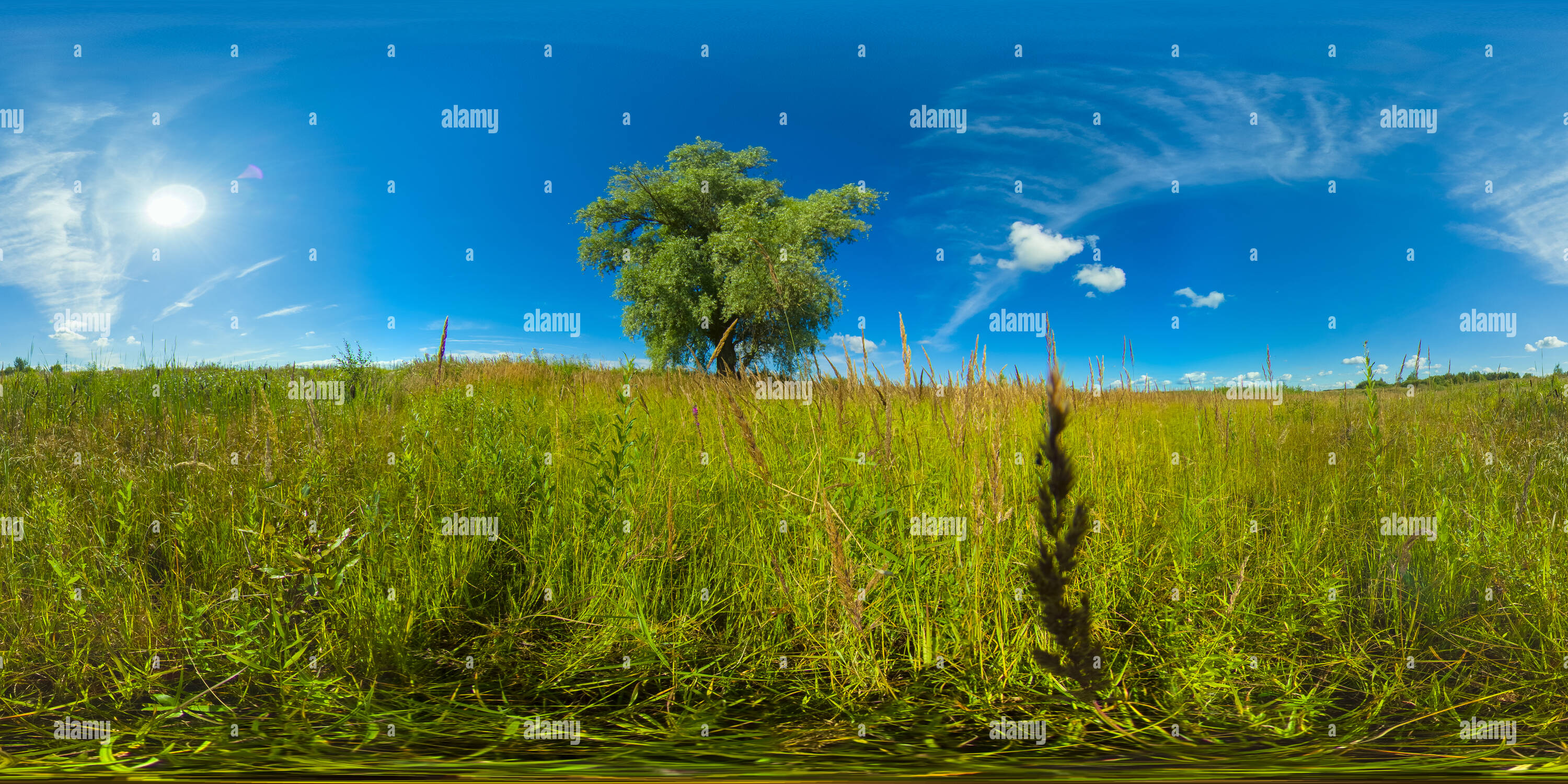 360° view of Landscape with summer meadow - Alamy