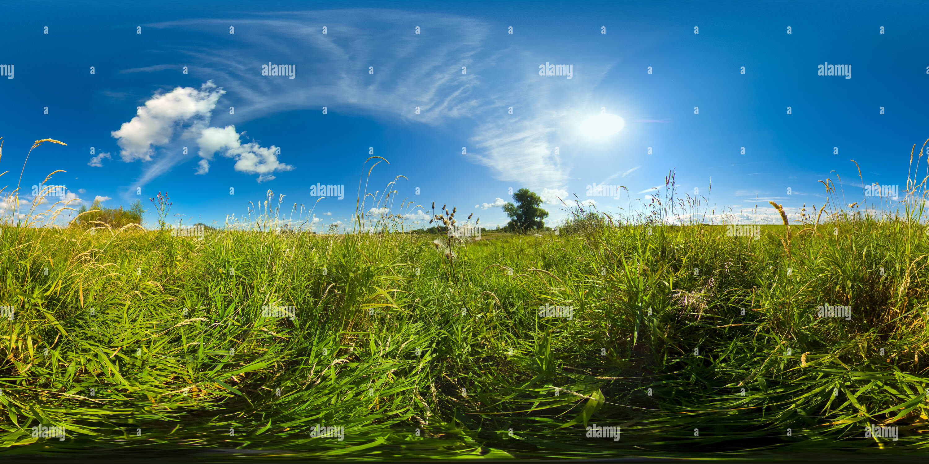 360° view of Landscape with summer meadow. 360-Degree view - Alamy