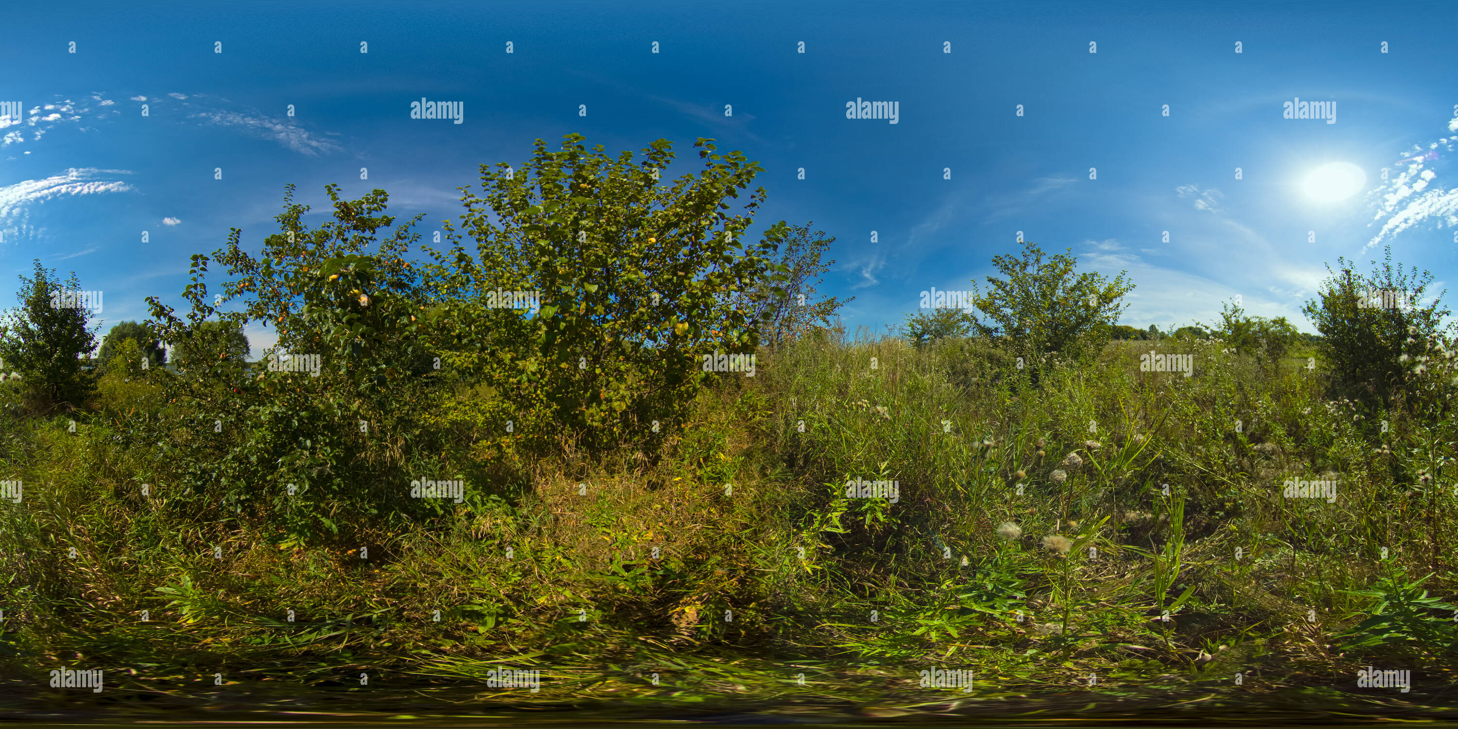 360° view of Landscape with summer meadow - Alamy