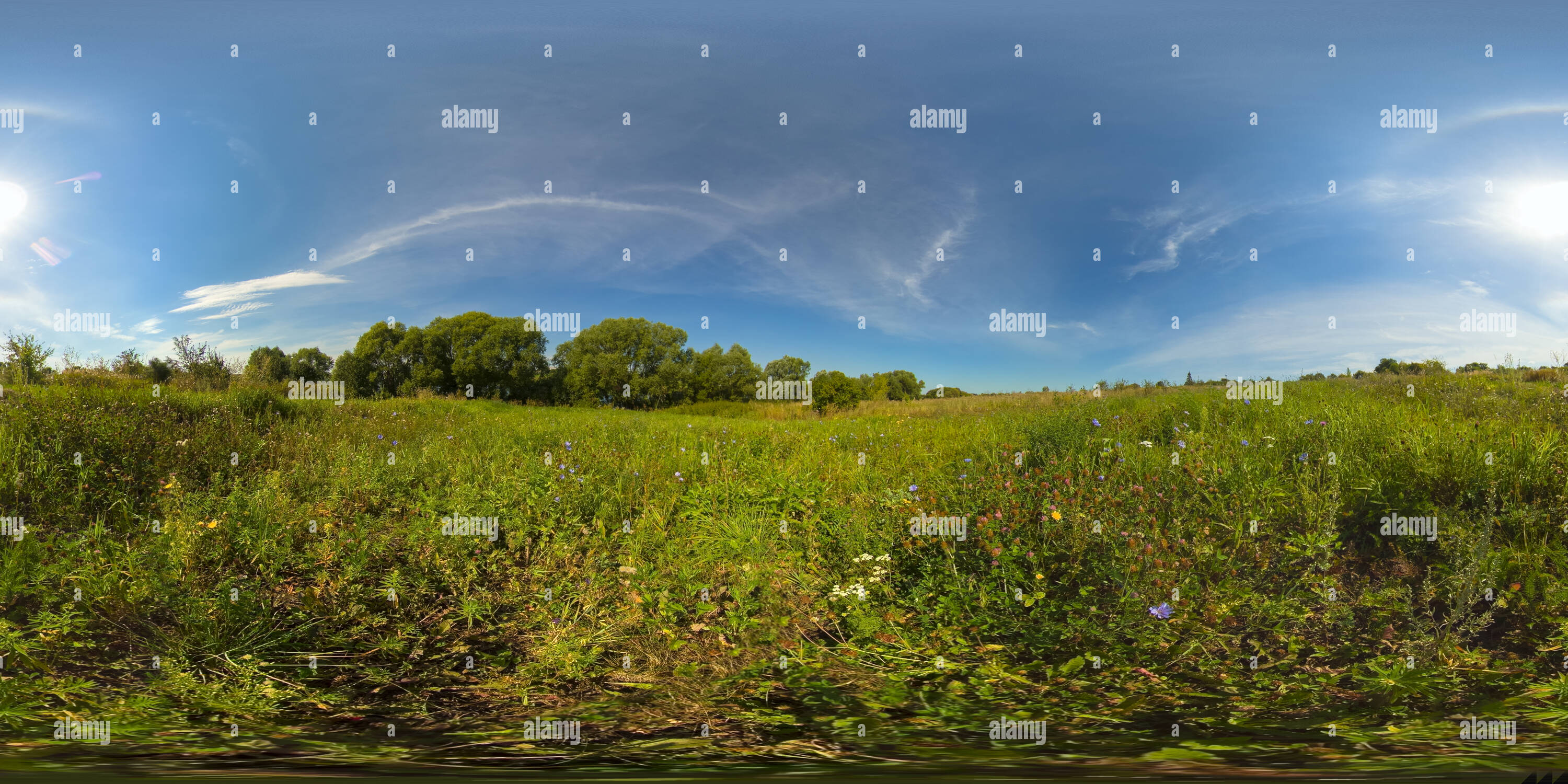 360° view of Landscape with summer meadow - Alamy