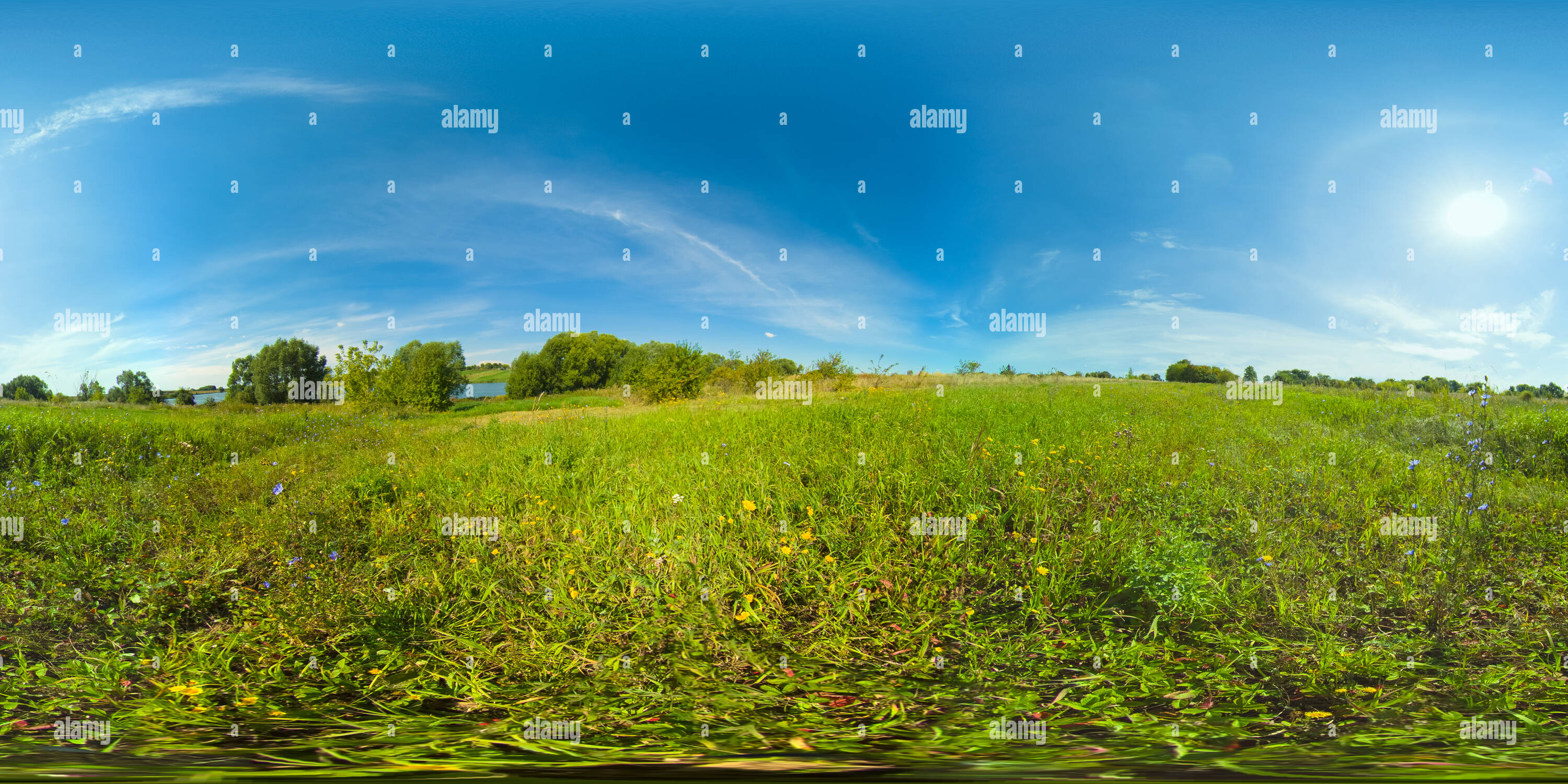 360° view of Summer landscape with field and lake - Alamy