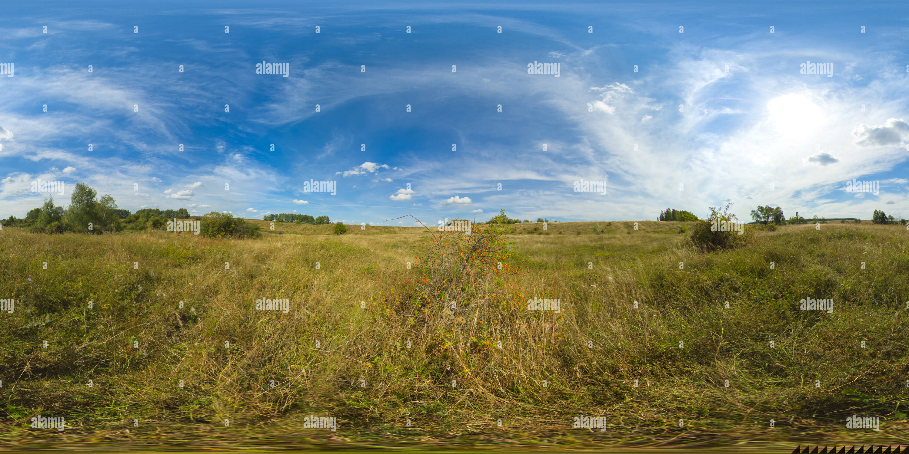 360° view of Landscape with summer meadow - Alamy