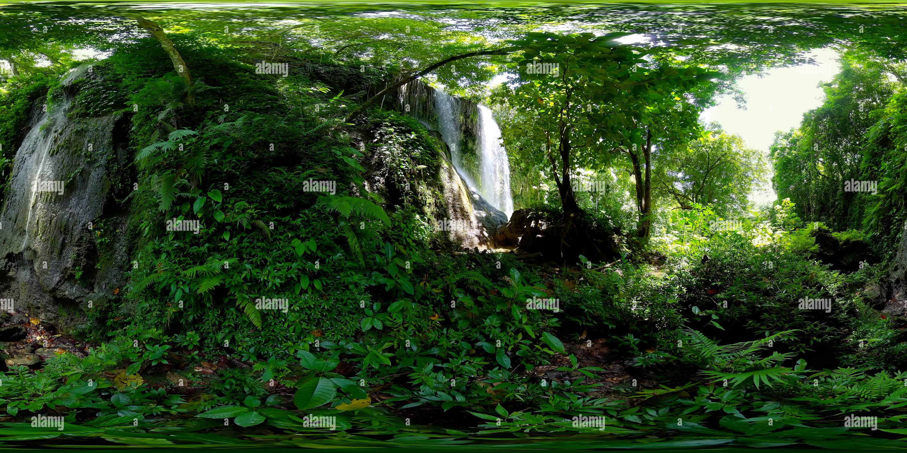 360° view of Beautiful tropical waterfall. Kawasan Falls, Bohol ...