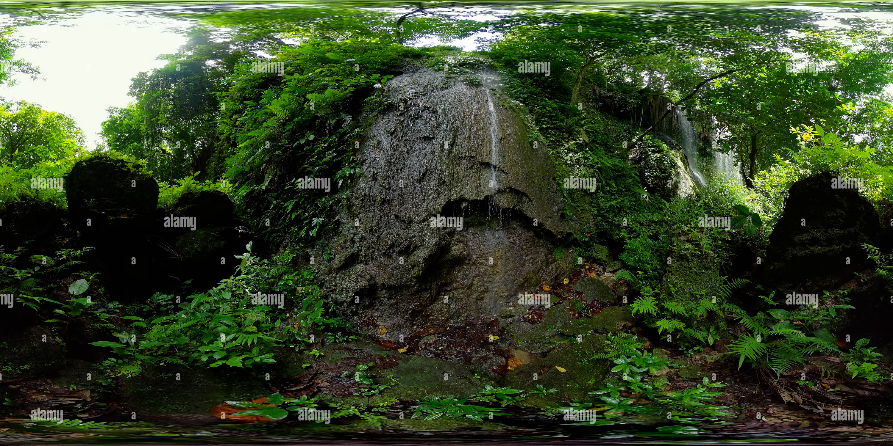 360° view of Beautiful tropical waterfall. Kawasan Falls, Bohol ...
