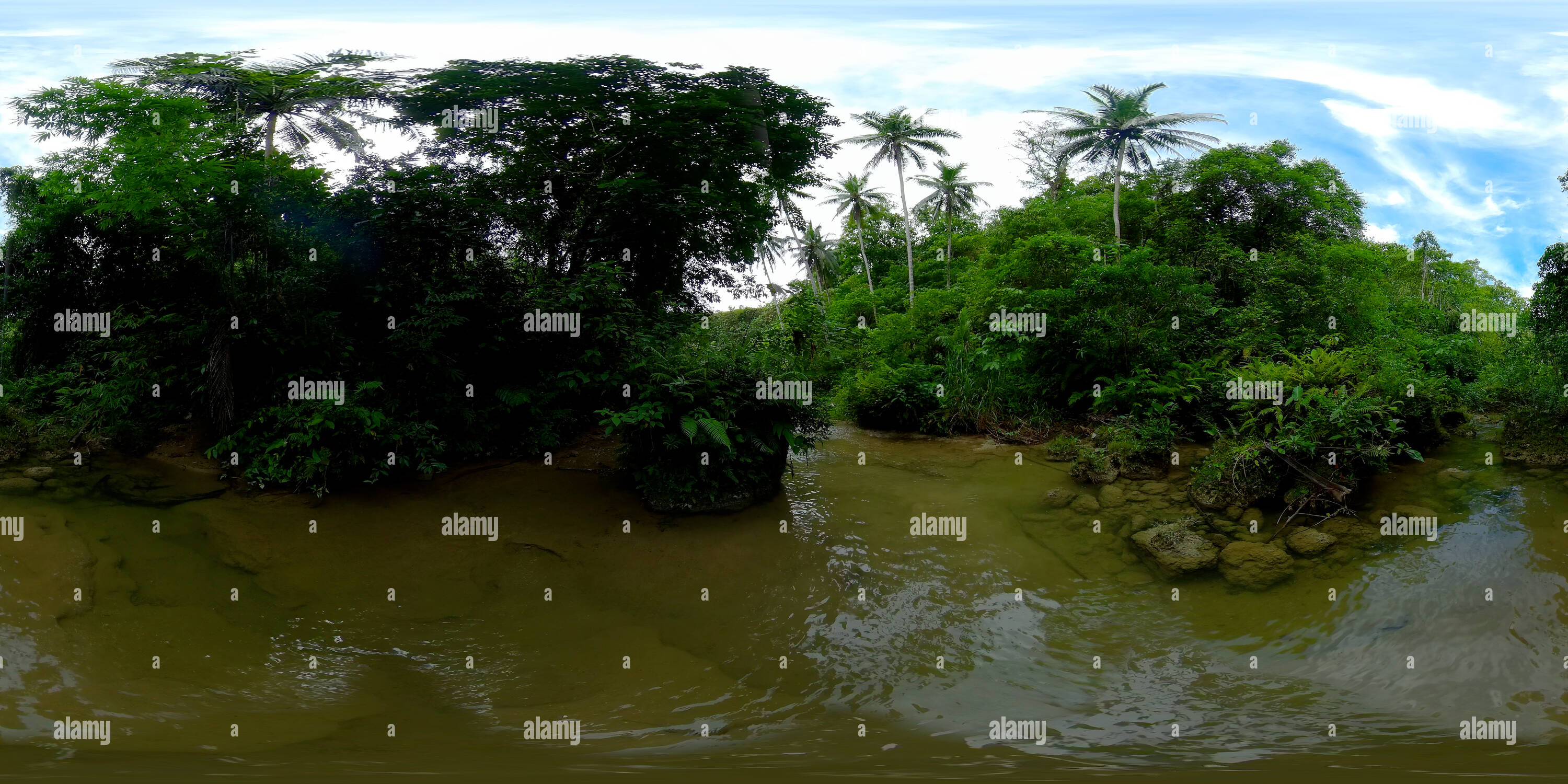 360° view of River in the rainforest. Philippines, Bohol - Alamy