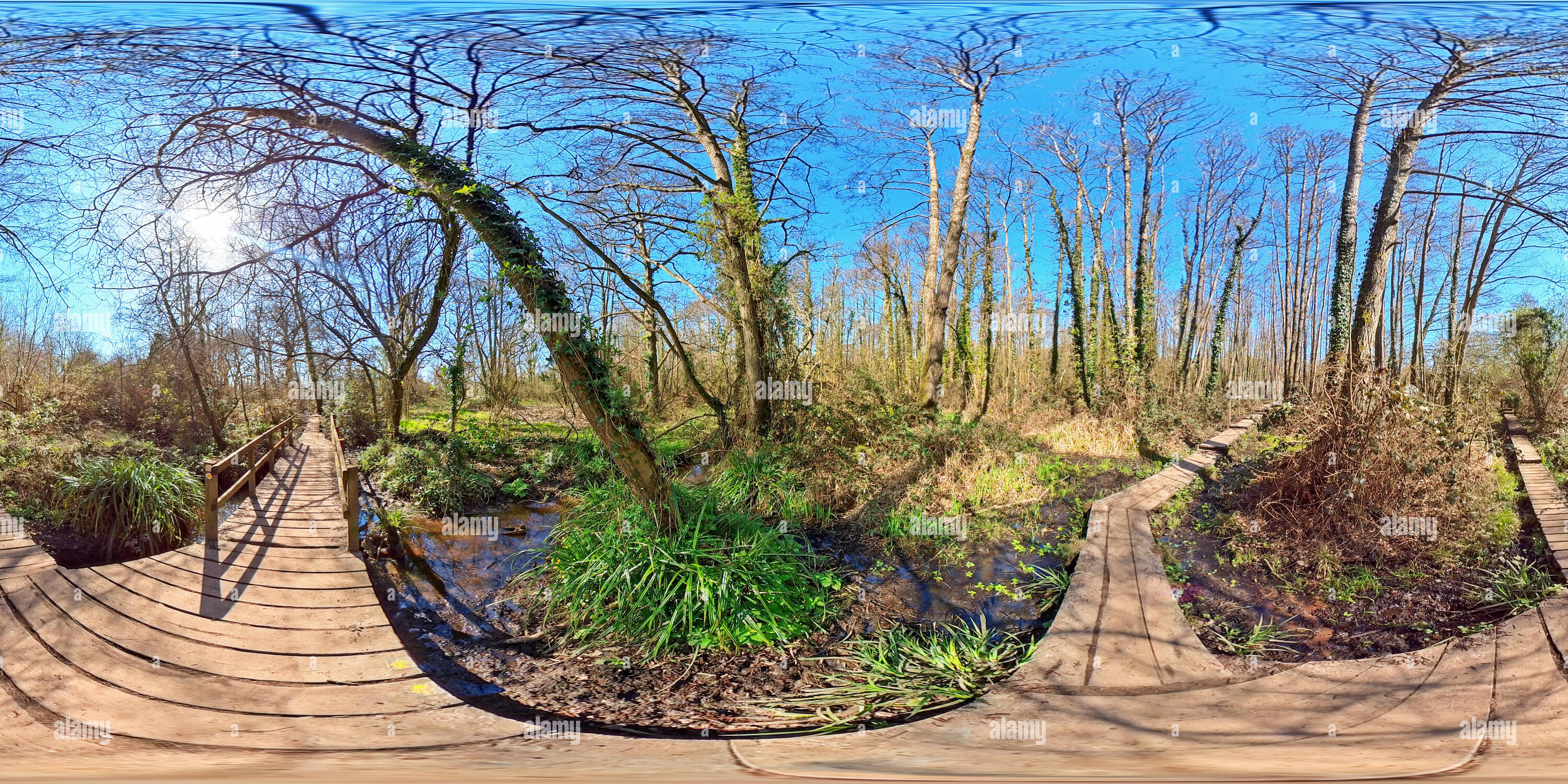 360° view of Quobleigh Woods Fair Oak (Site of Importance for Nature ...