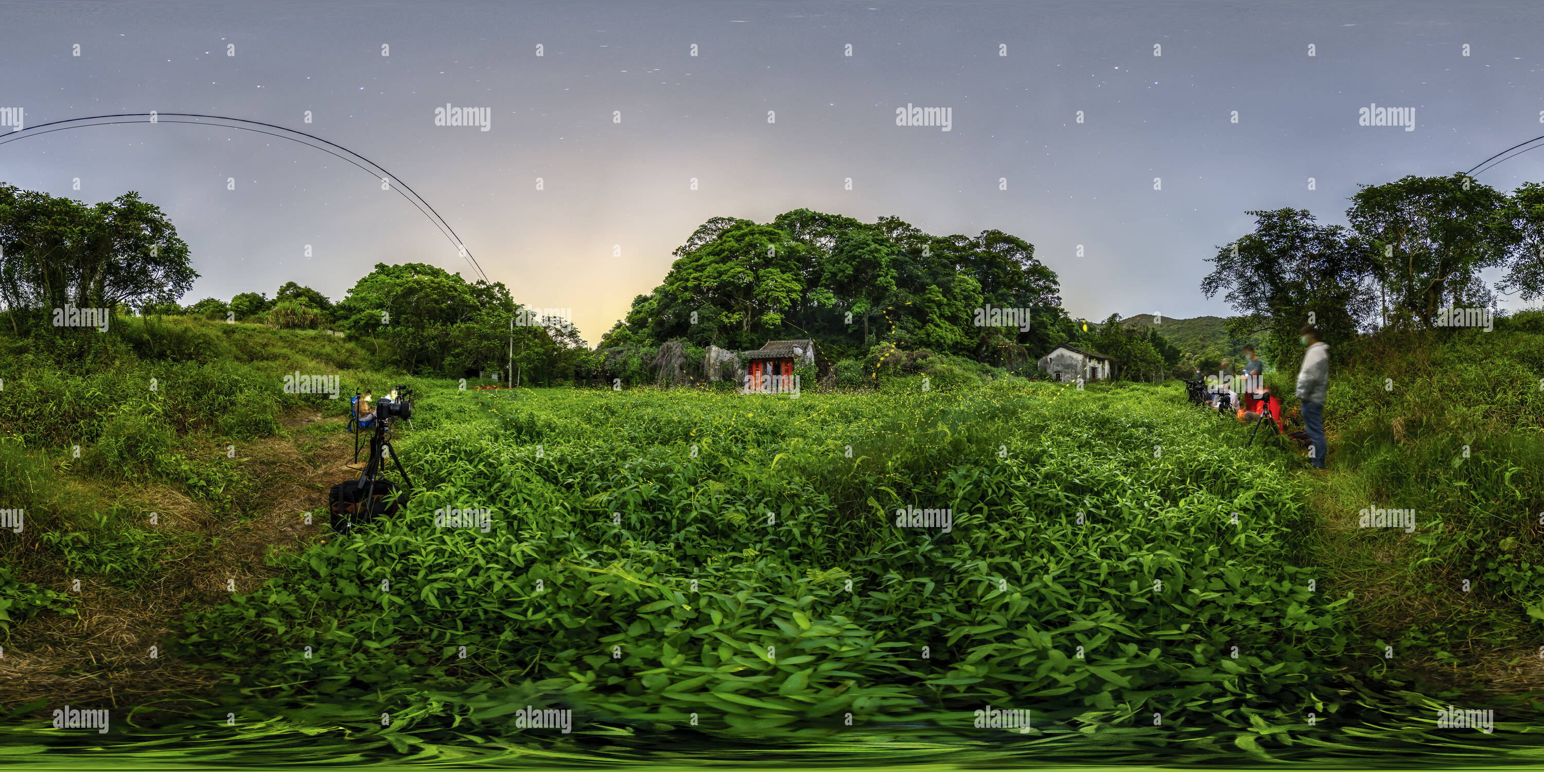 360° view of Fireflies in Sha Lo Tung(大埔沙羅洞螢火), Tai Po, HK - Alamy