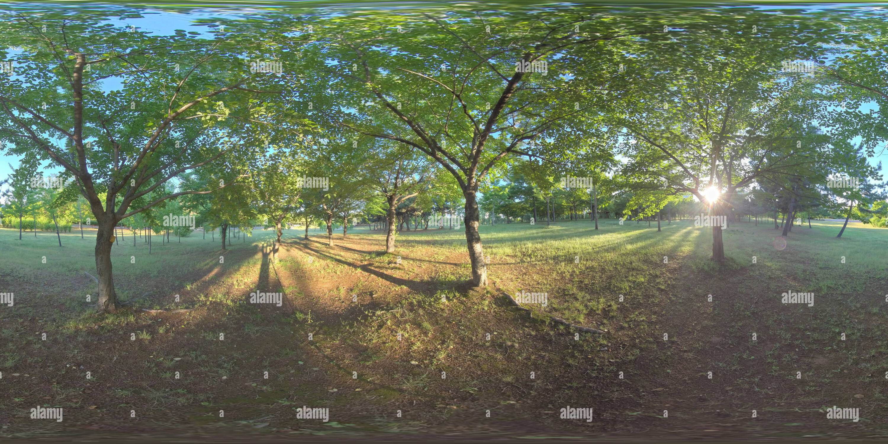 360° view of Forest and Park in Ansan - Alamy
