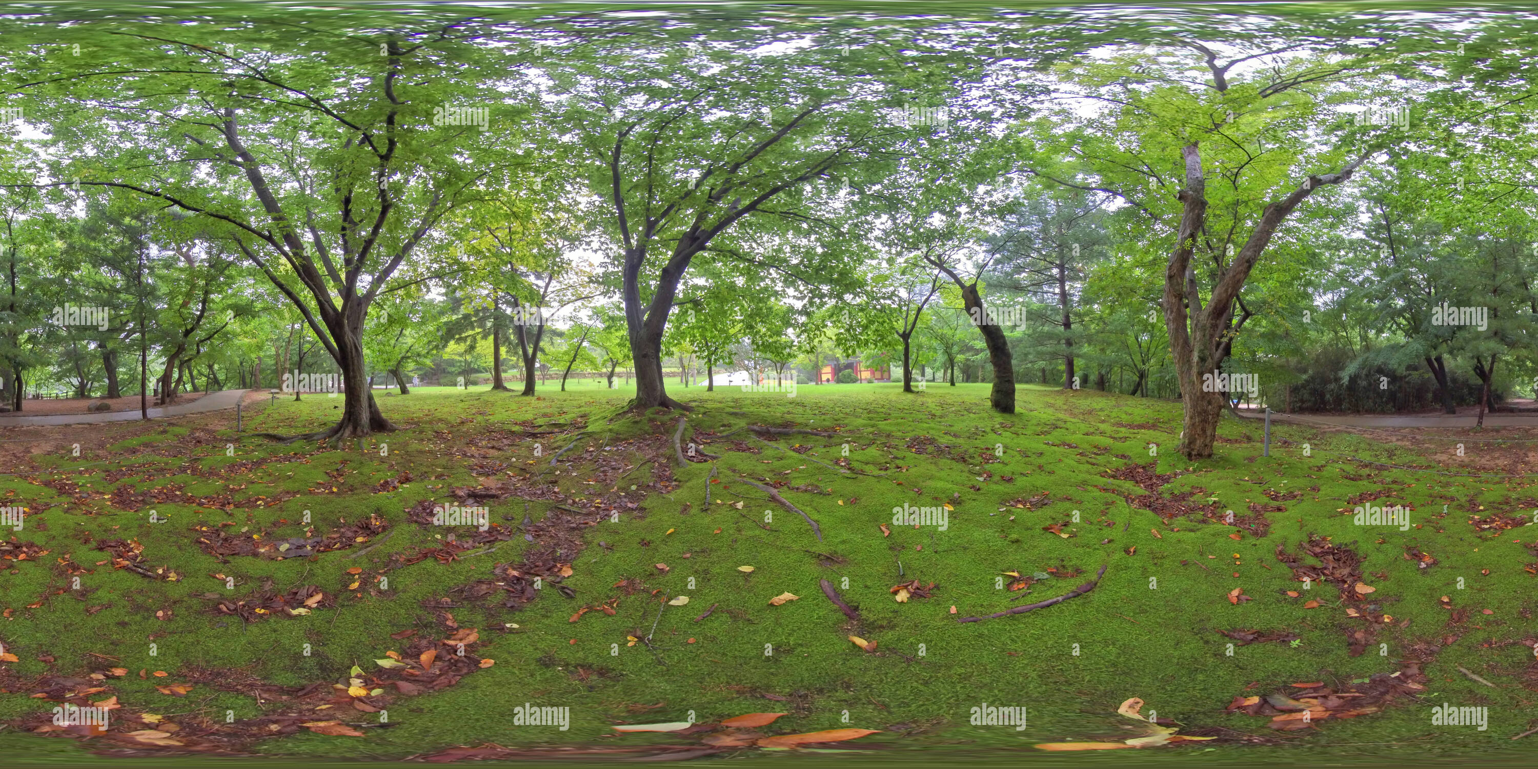 360° view of 360VR World Heritage Site Bulguksa Temple - Alamy