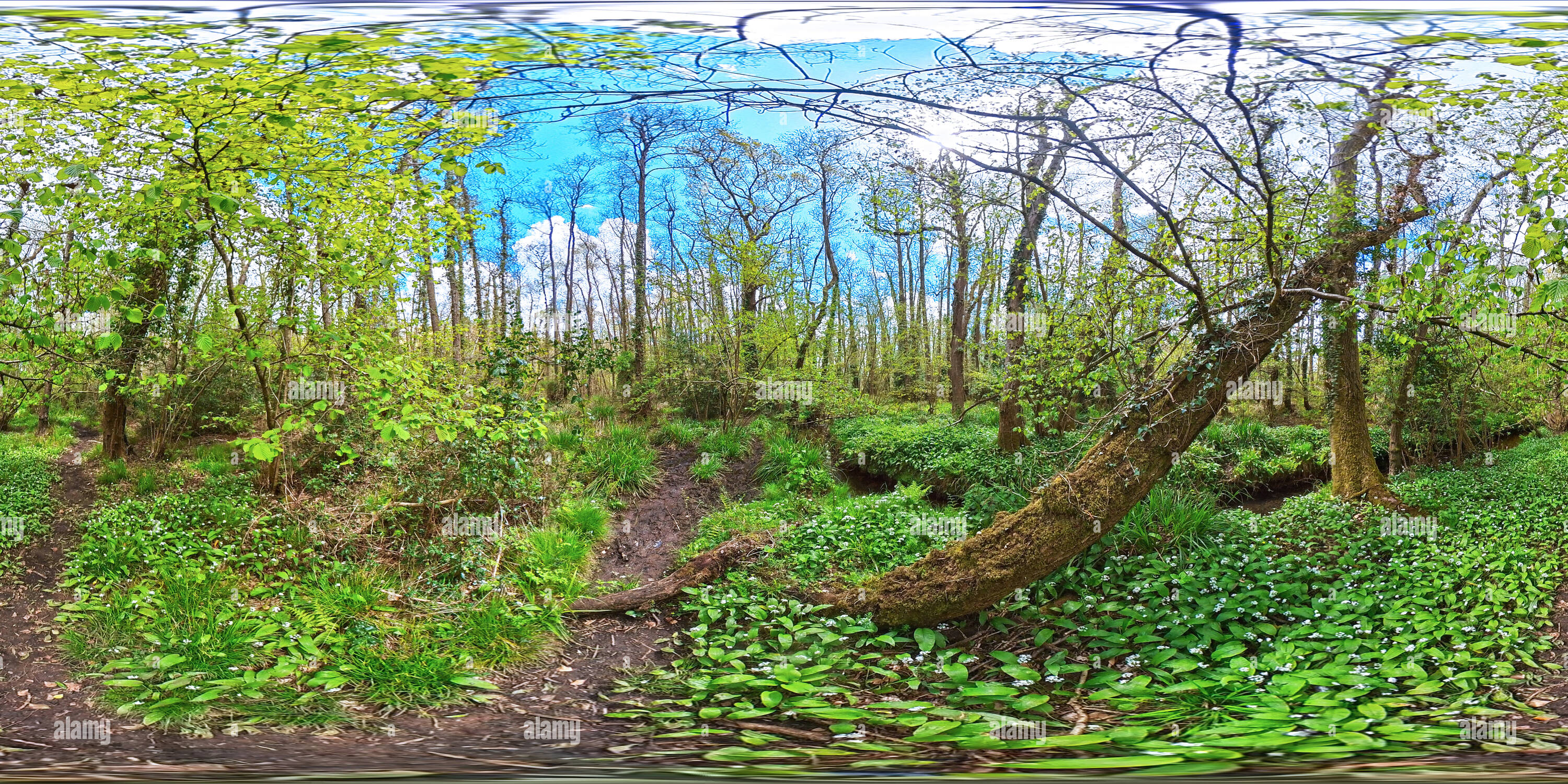 360° view of Upper Flexford Nature Reserve In Hampshire UK - Alamy