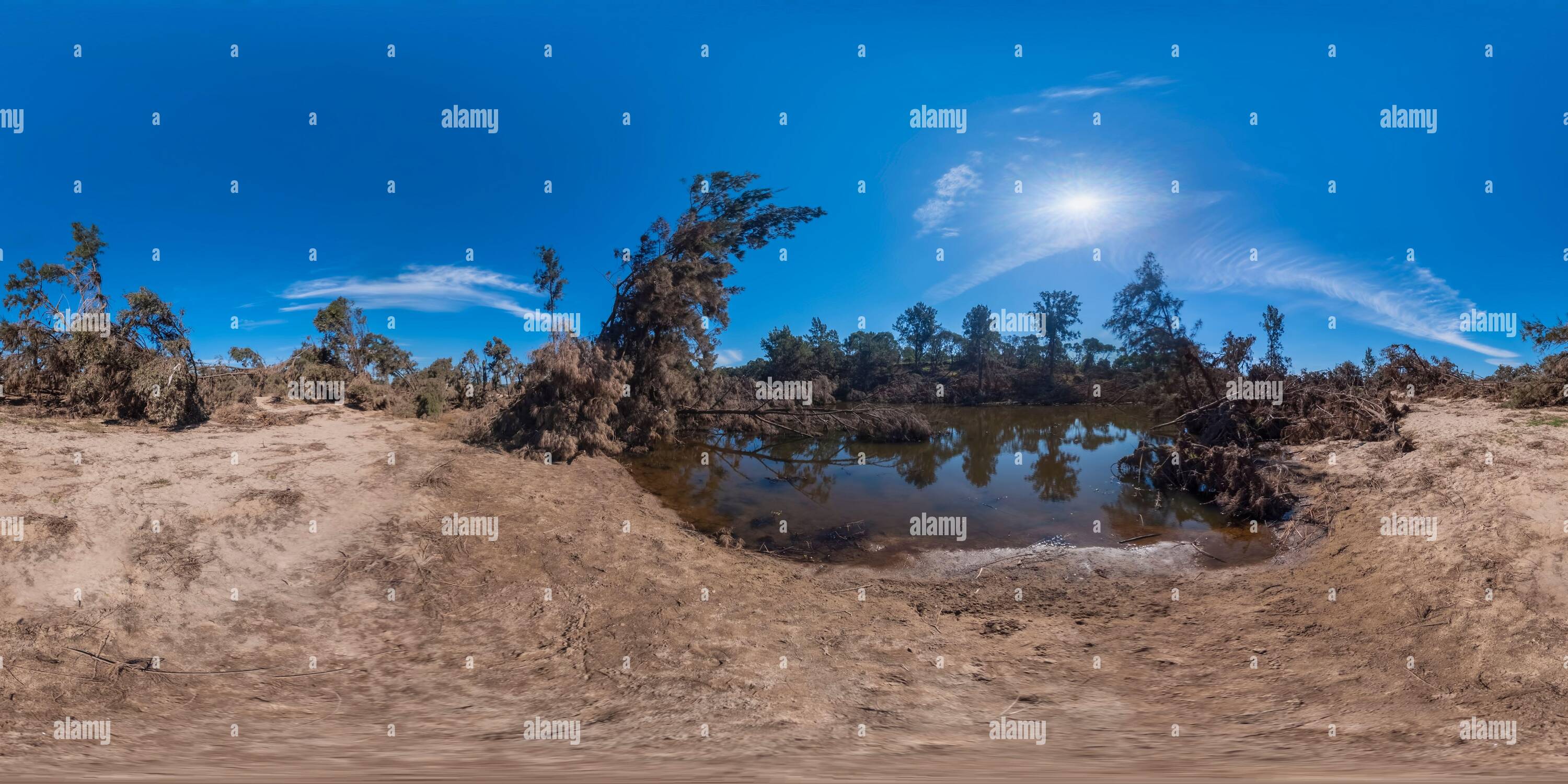 360° view of Spherical panoramic photograph of fallen trees near the ...